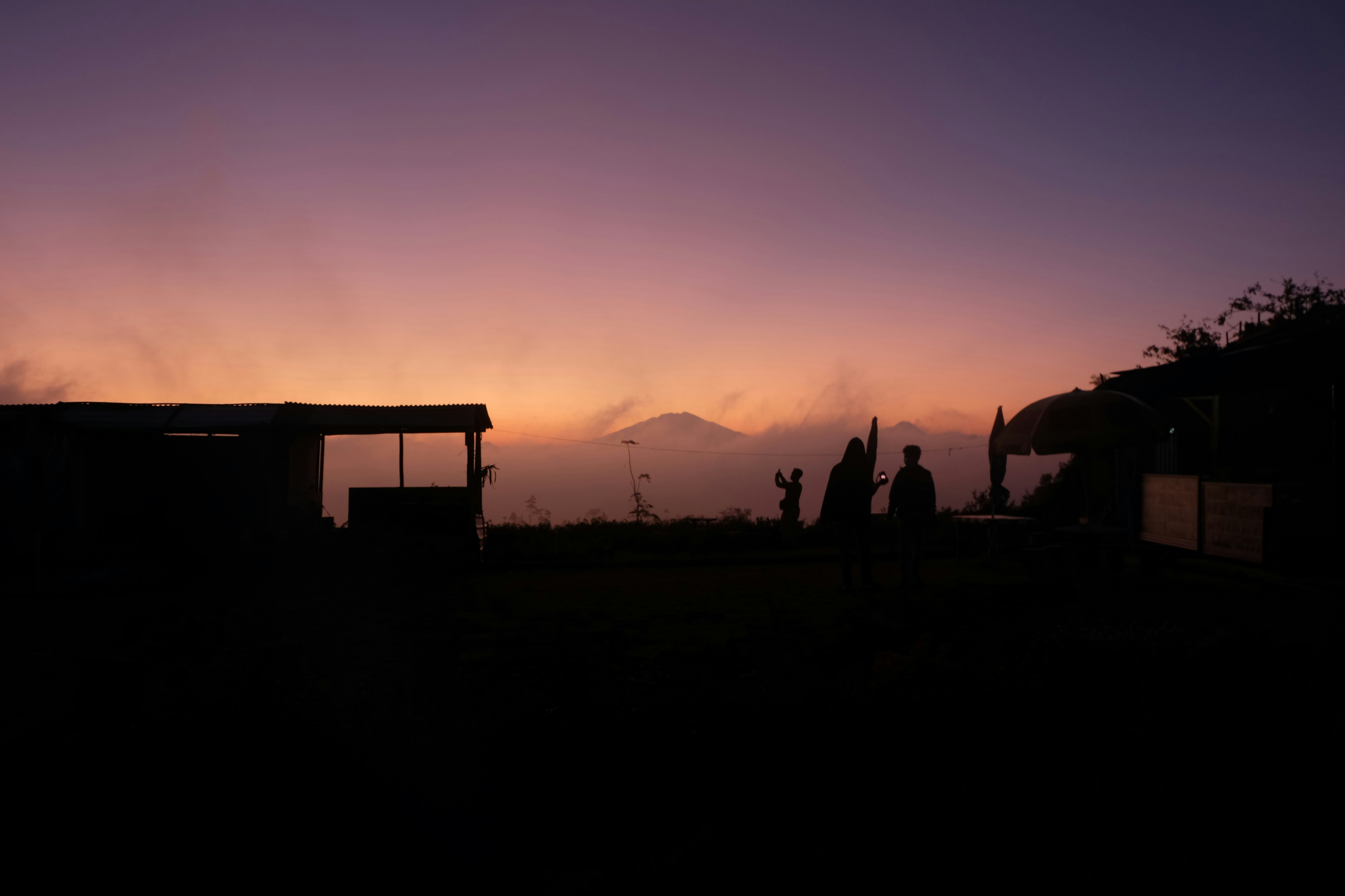 Dusk Silhouettes Over a Velvet Horizon