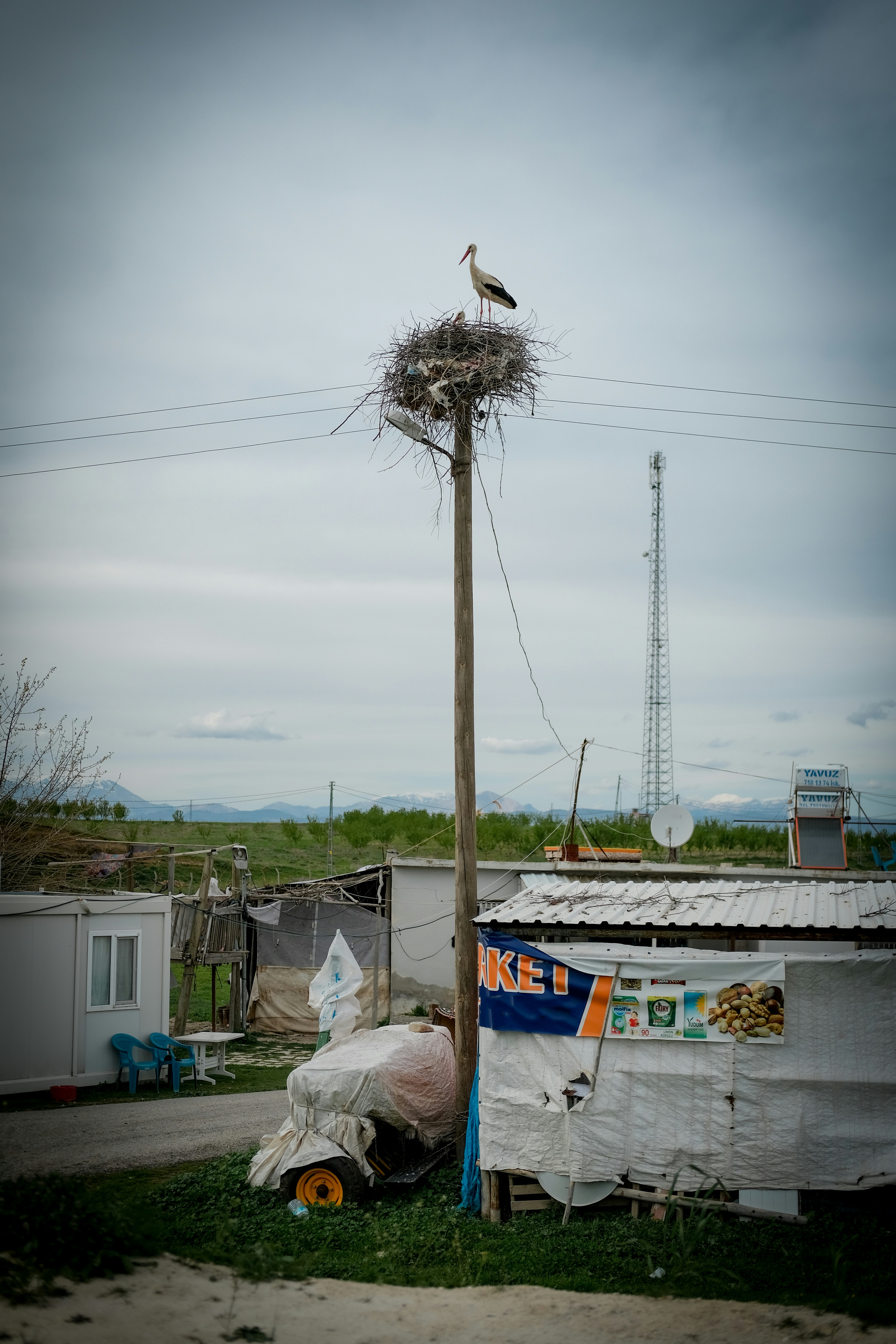 a bird sitting on top of a nest on top of a pole