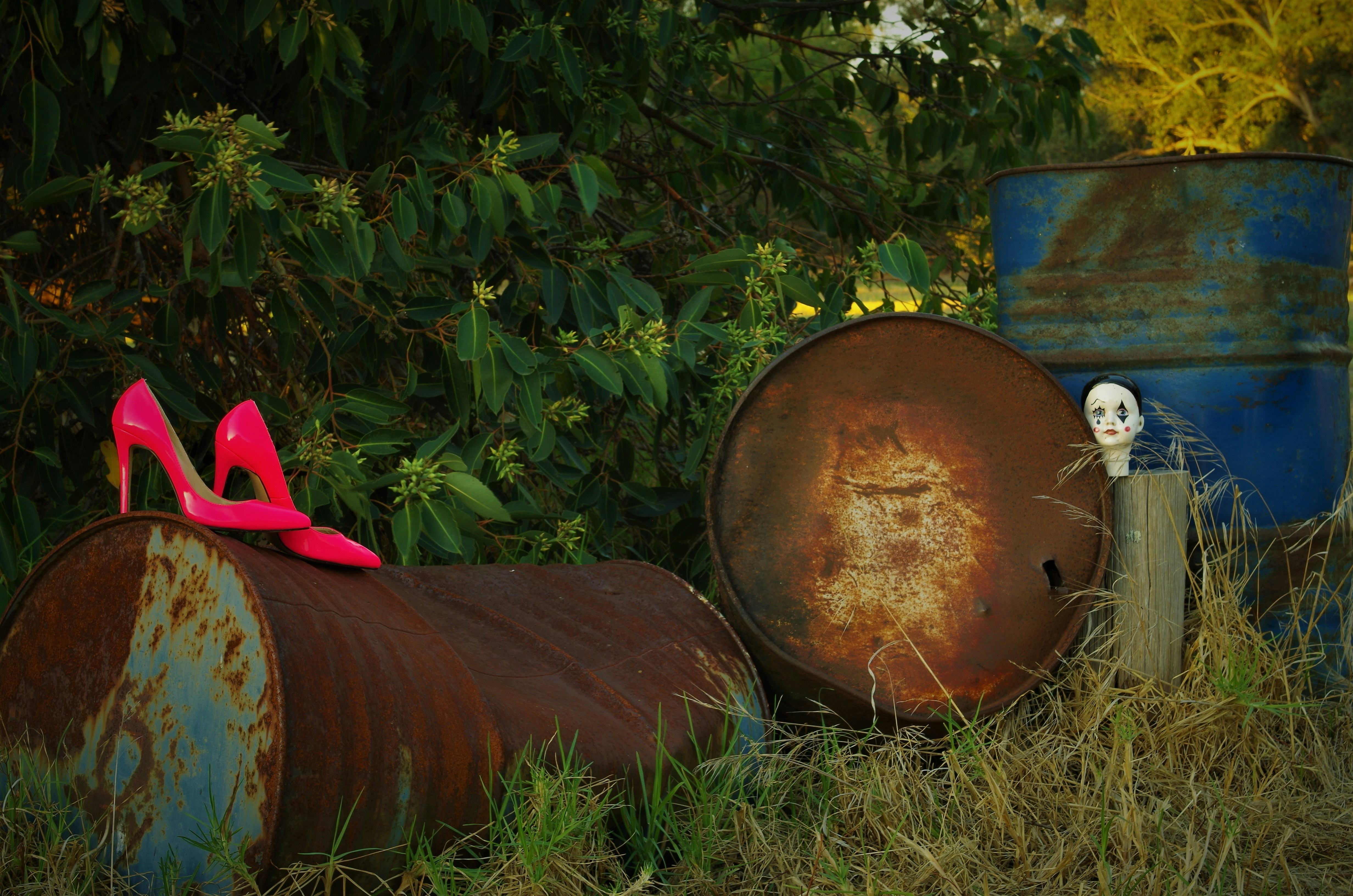 Scarlet Heels Among Rust: A Quiet Junkyard Still Life