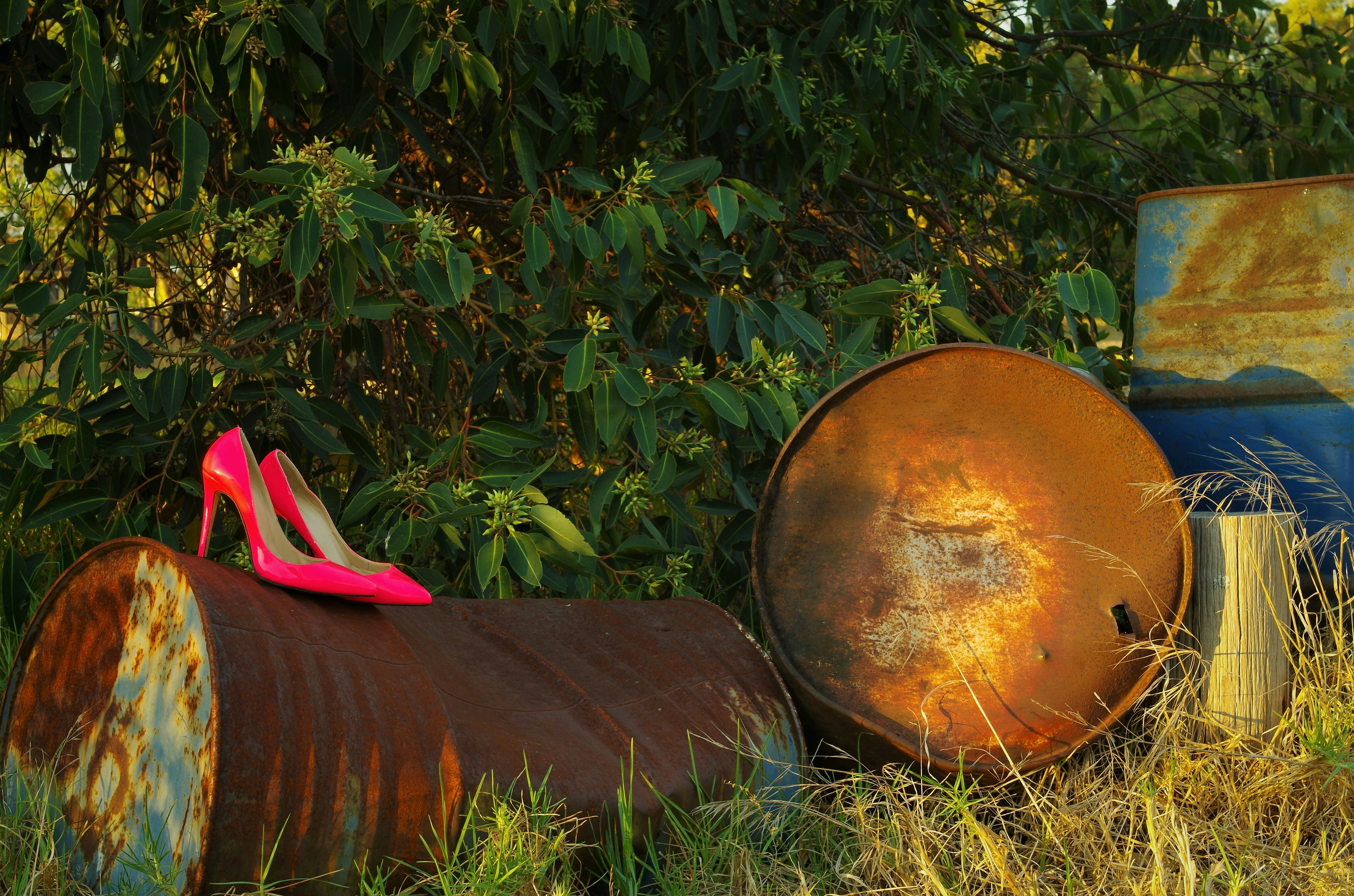 A pair of pink high heels sitting on top of a barrel photo – Free Perth ...