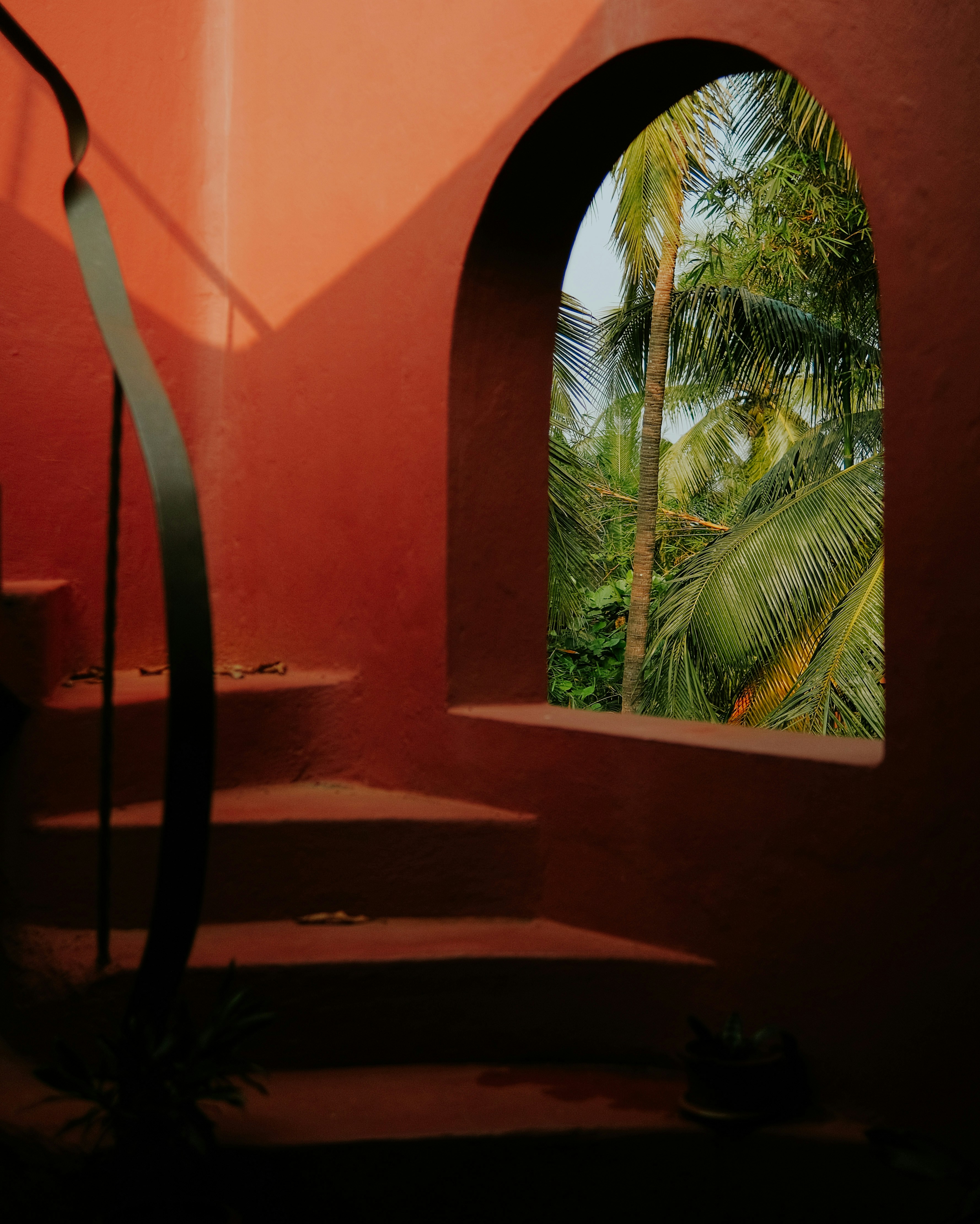 A view of a palm tree through a window photo – Free Housing Image on ...