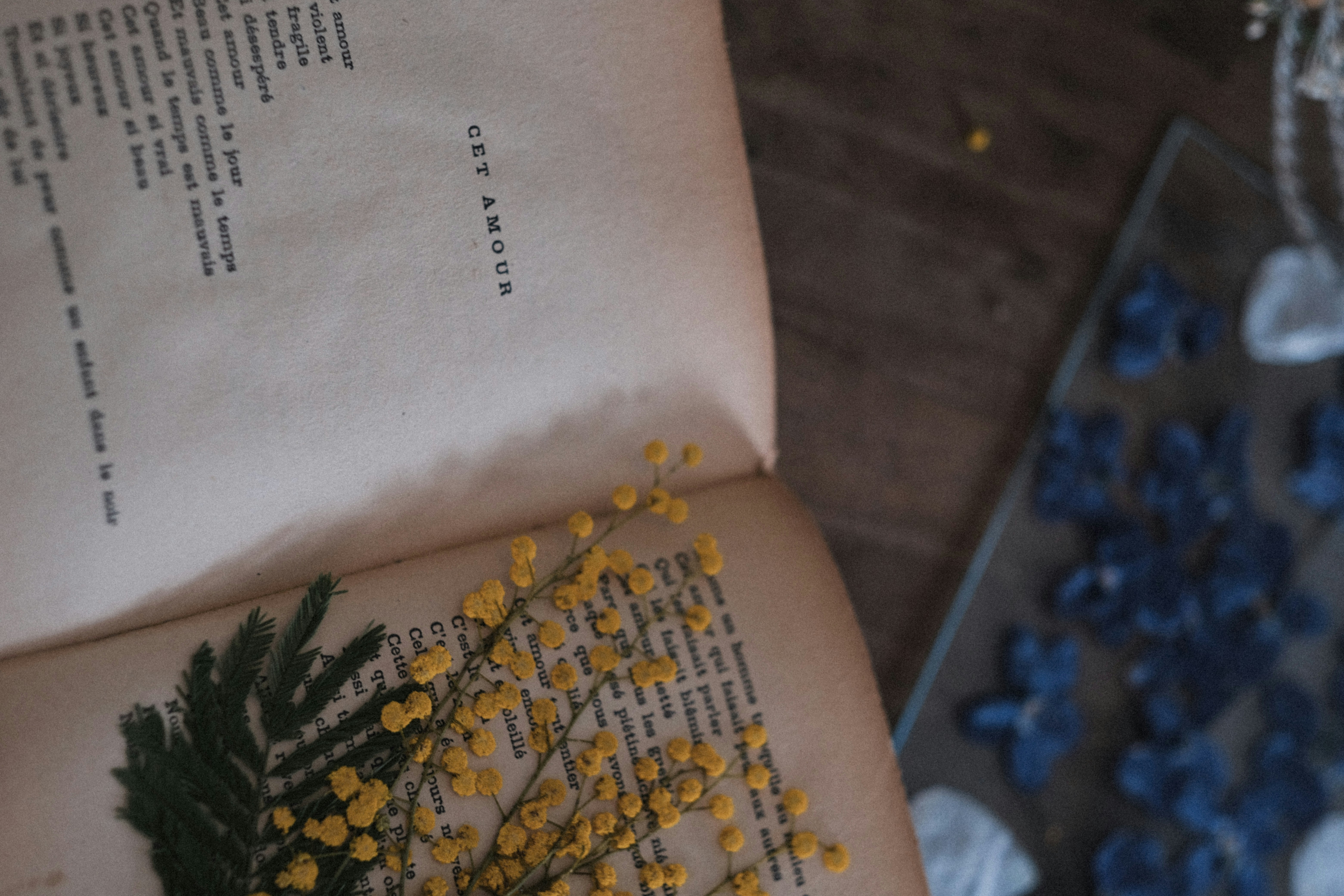 Floral Accents on Open Pages: A Quiet Still Life
