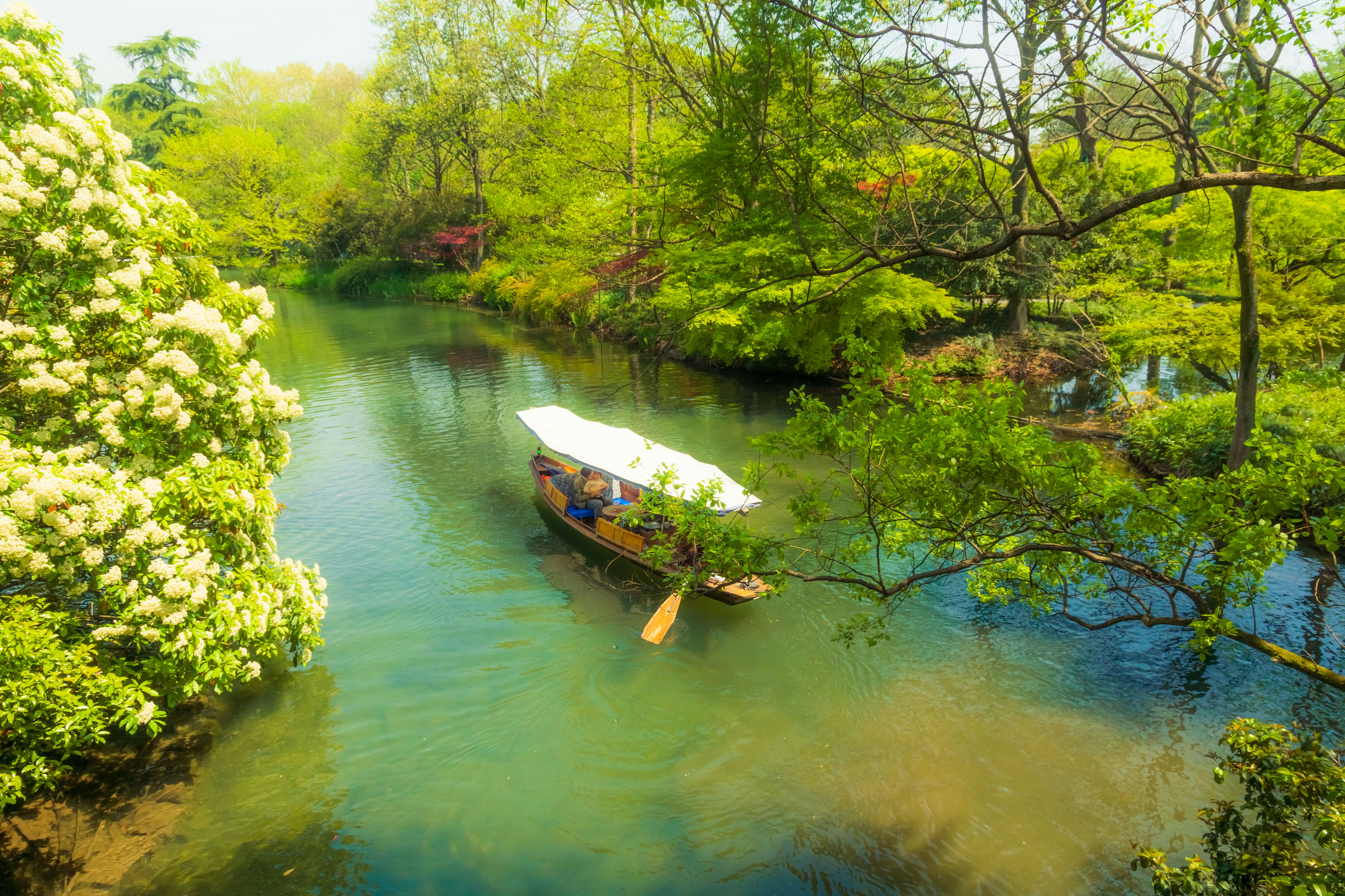 Emerald River Drift: A Lone Boat Beneath Sunlit Foliage