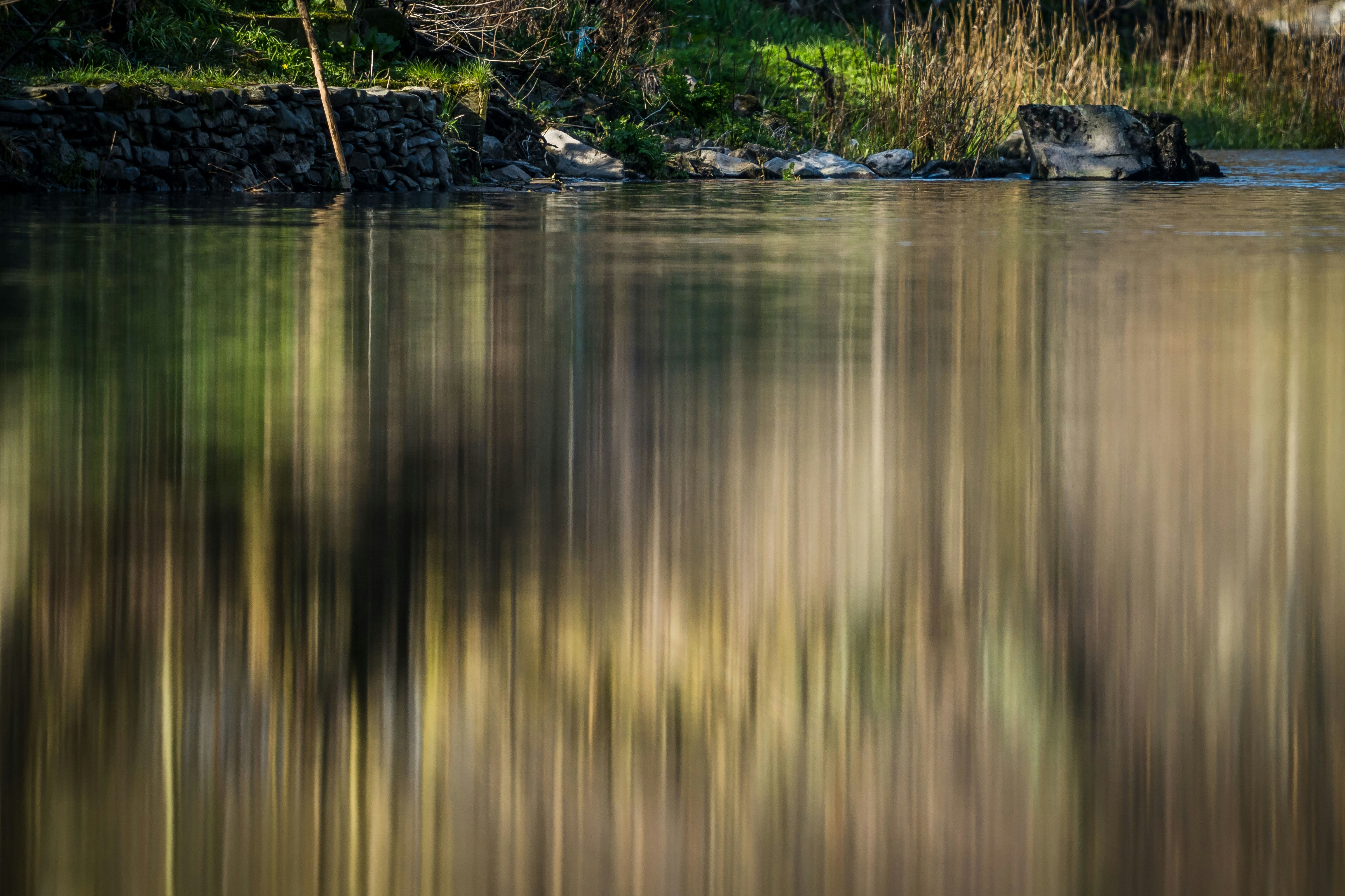 Photo by Jonny Gios with Sony Alpha 7 IV