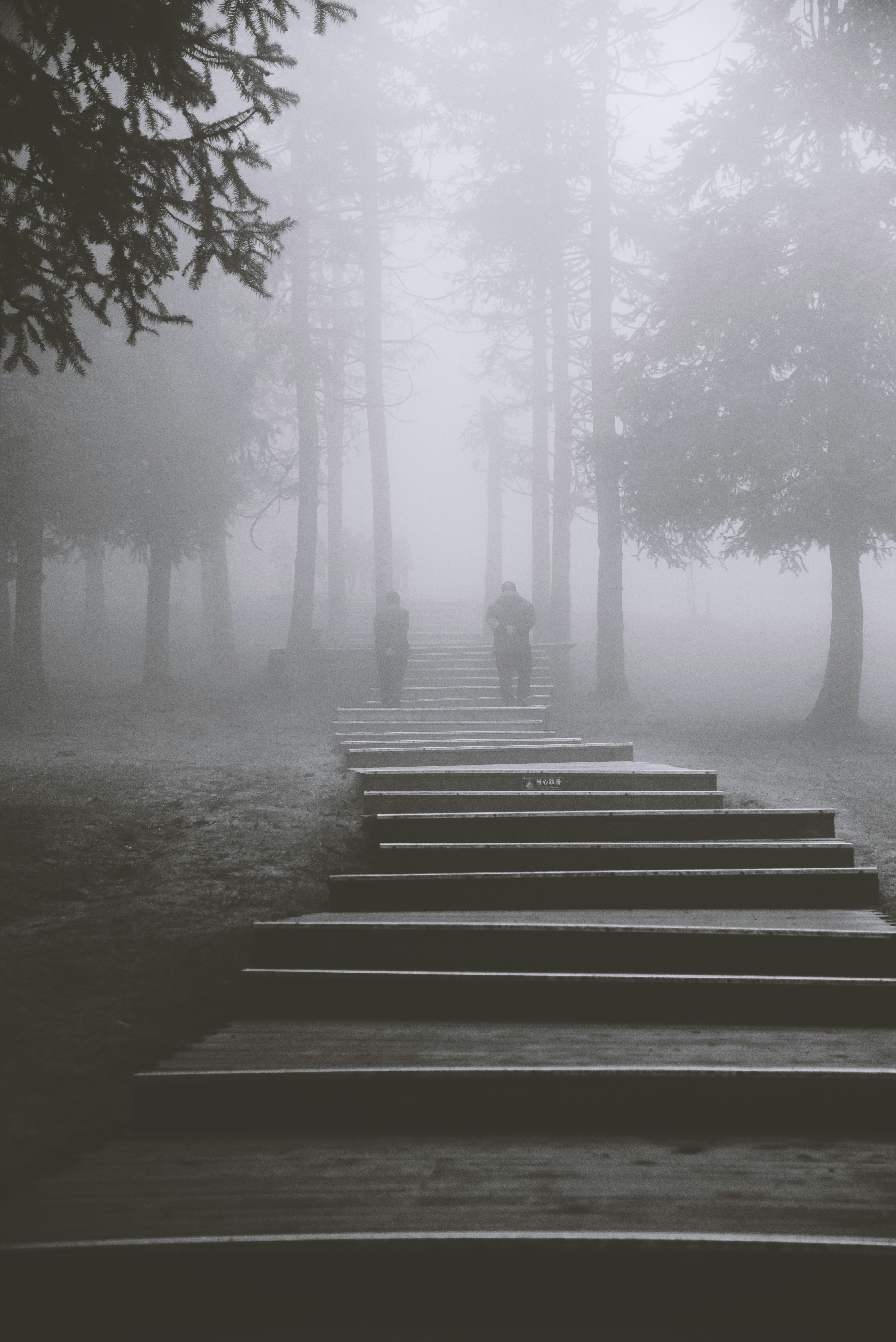 A person walking up some steps in the fog photo – Free 重庆市武隆区仙女山 Image ...