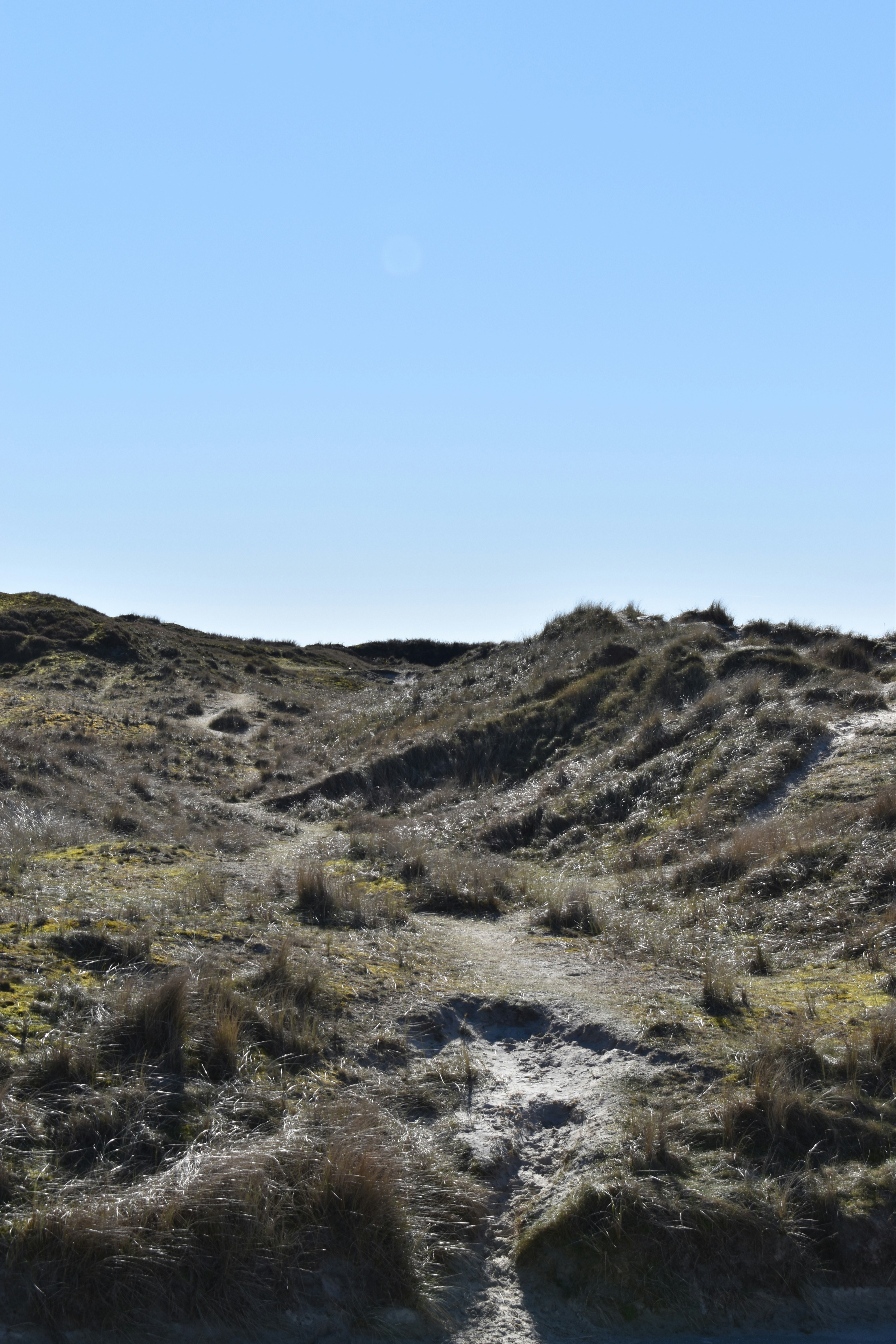 Photo by Caroline Baasch with Nikon D3500