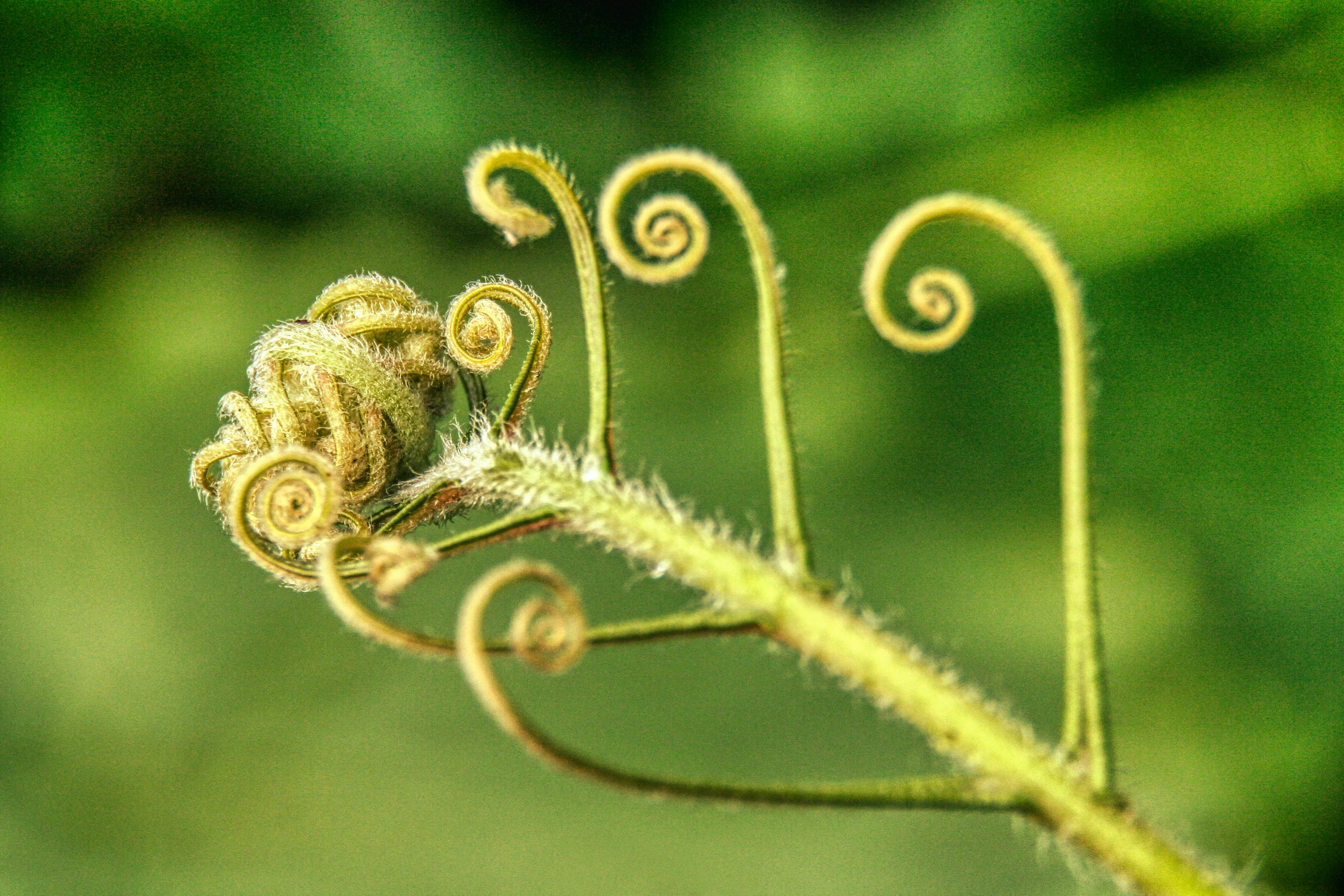 Photo by Thomas Kinto with Canon EOS 350D