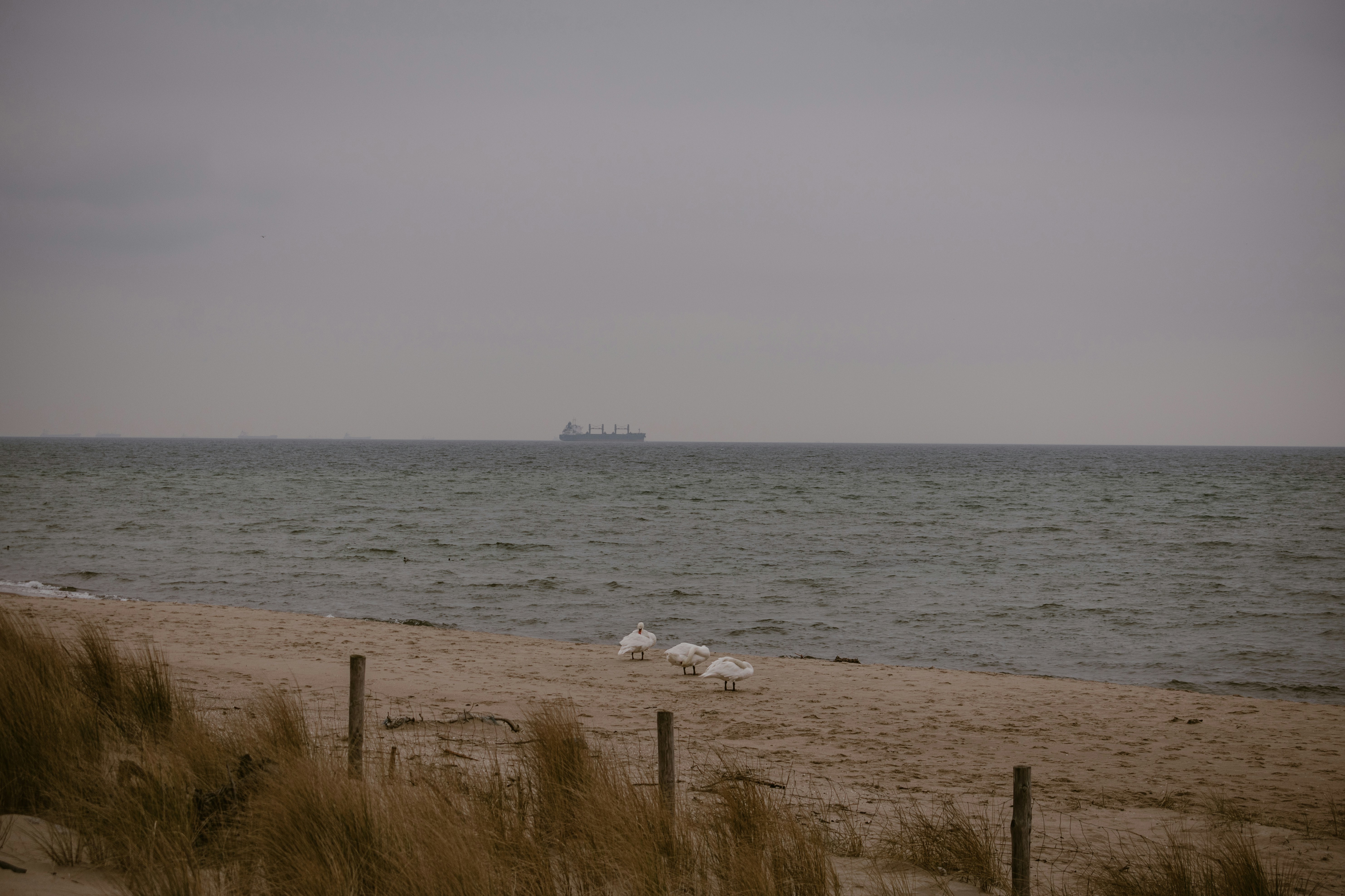 Horizon Freight: A Distant Freighter Crossing a Silent Gray Sea