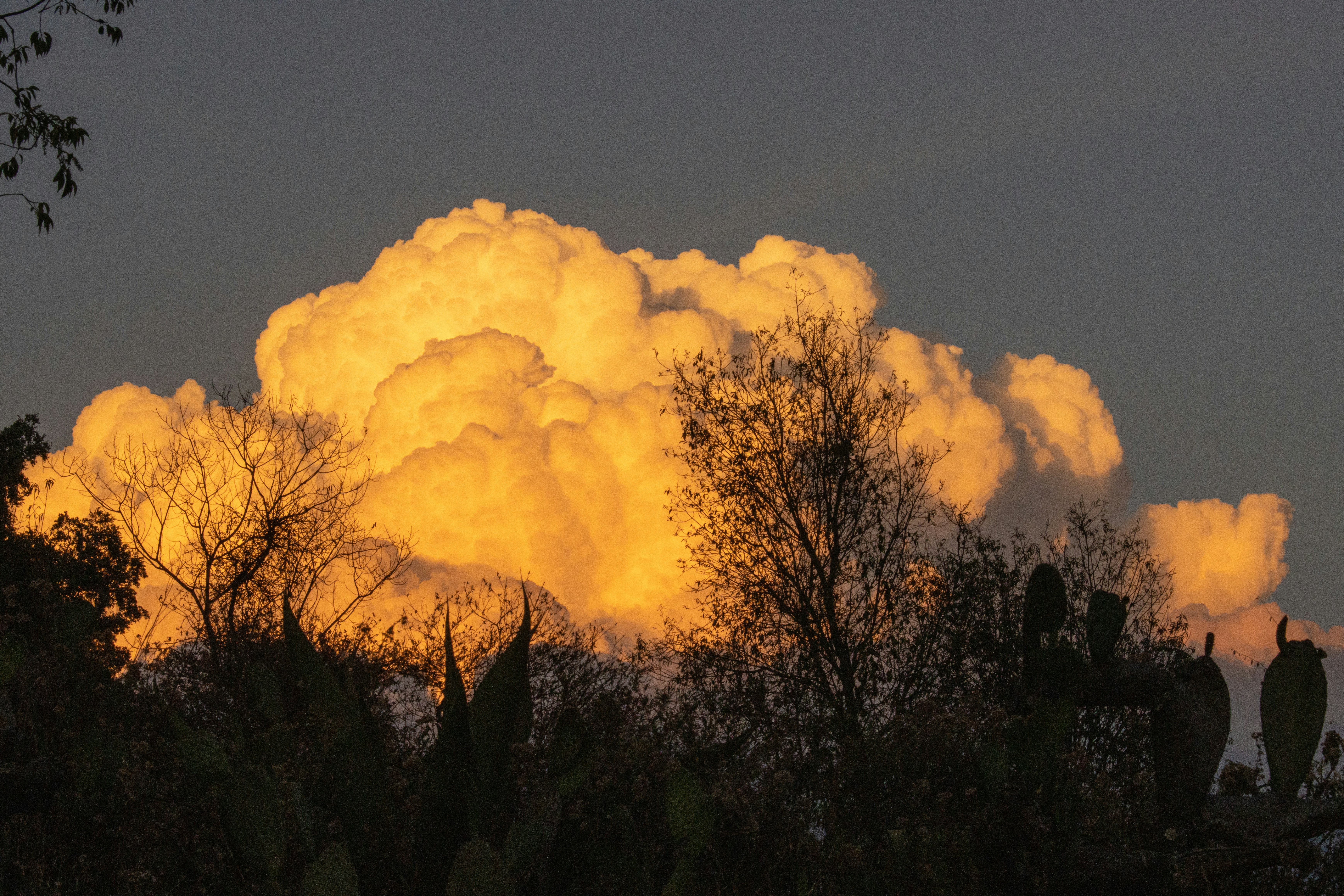 Golden Cloud Over silhouettes: Sunset Crest on Quiet Horizon