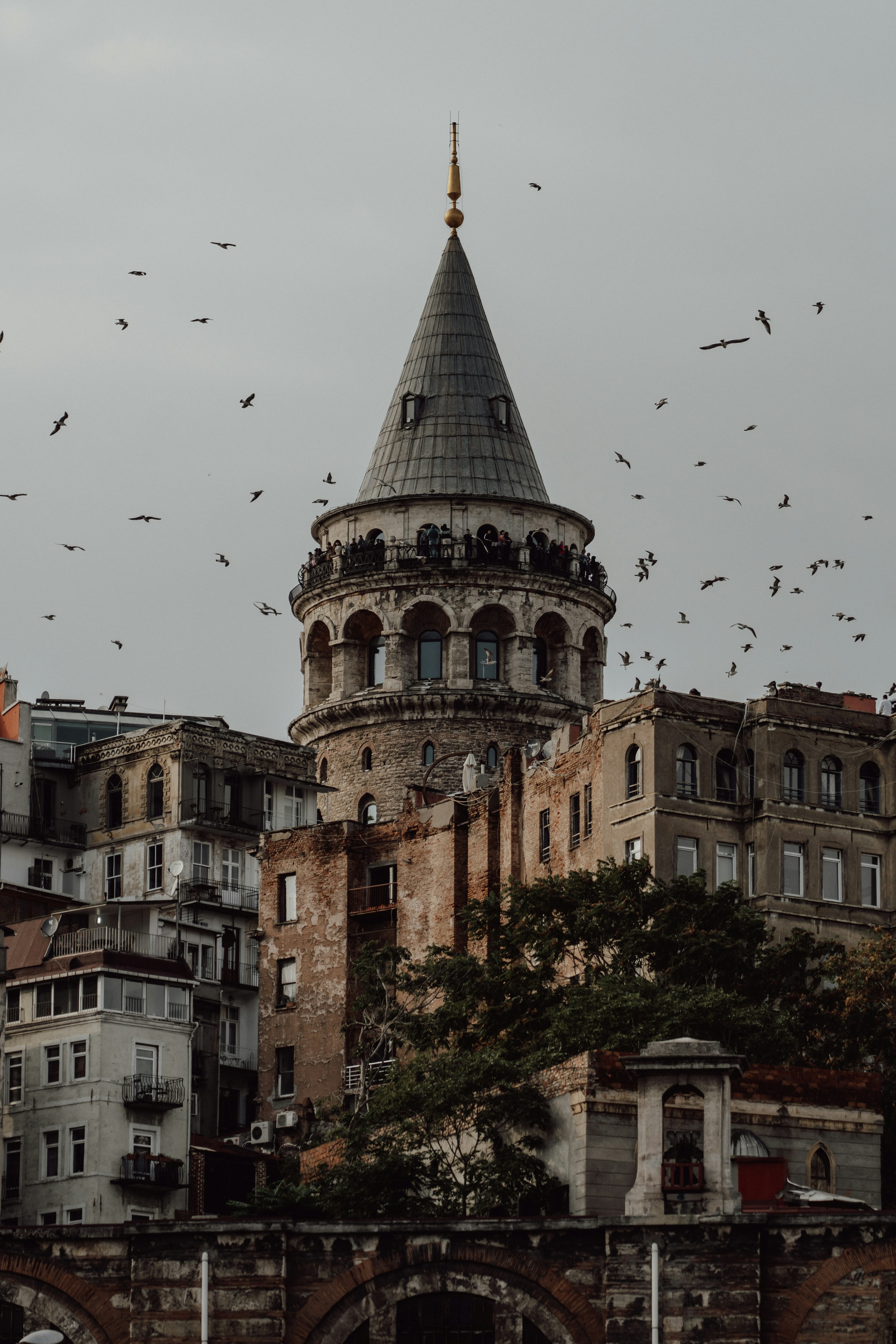 Galata Tower rises prominently amidst a backdrop of historic buildings and flocks of birds in the sky. The scene captures the vibrant essence of urban life in Istanbul.