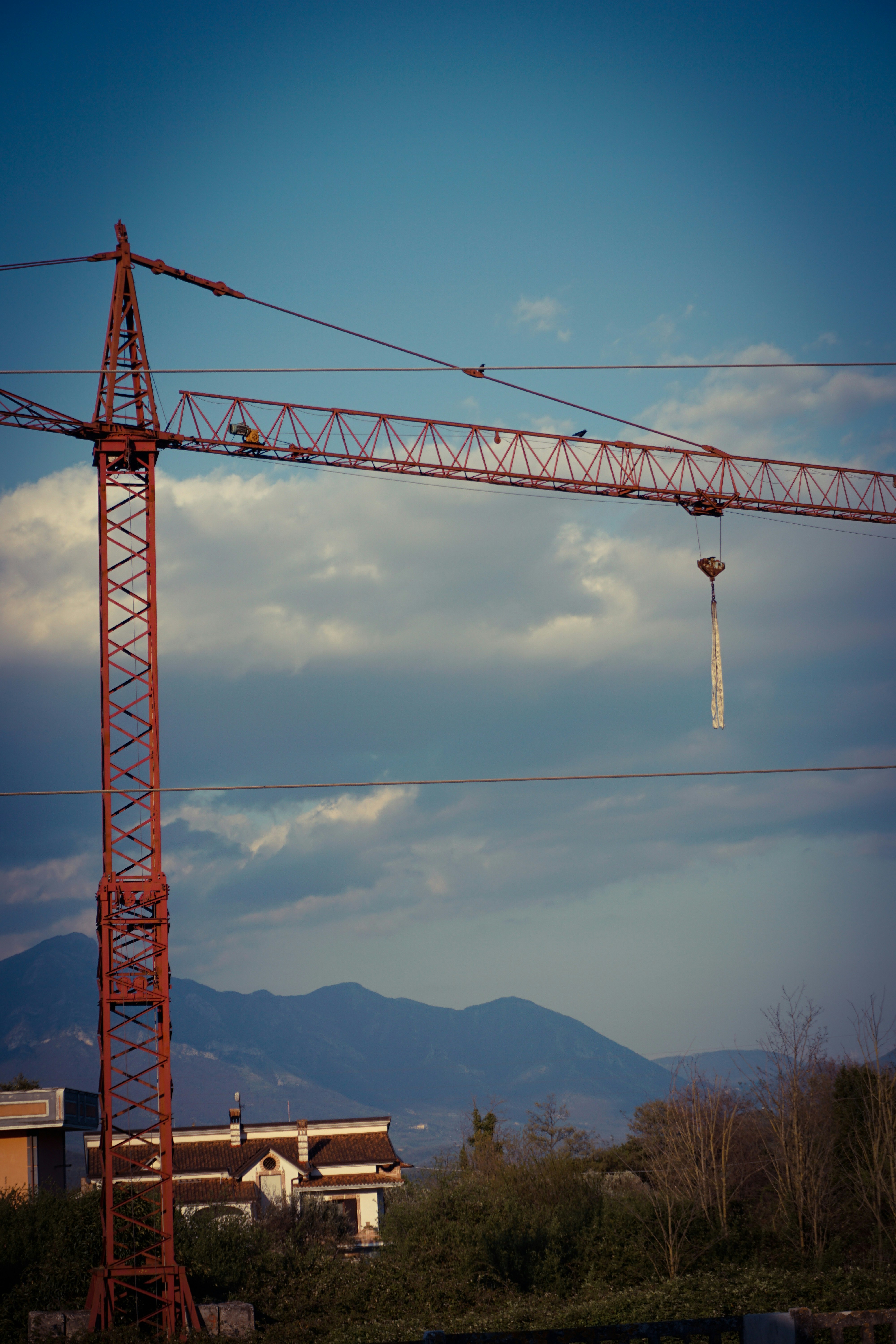 a crane is standing in the middle of a field