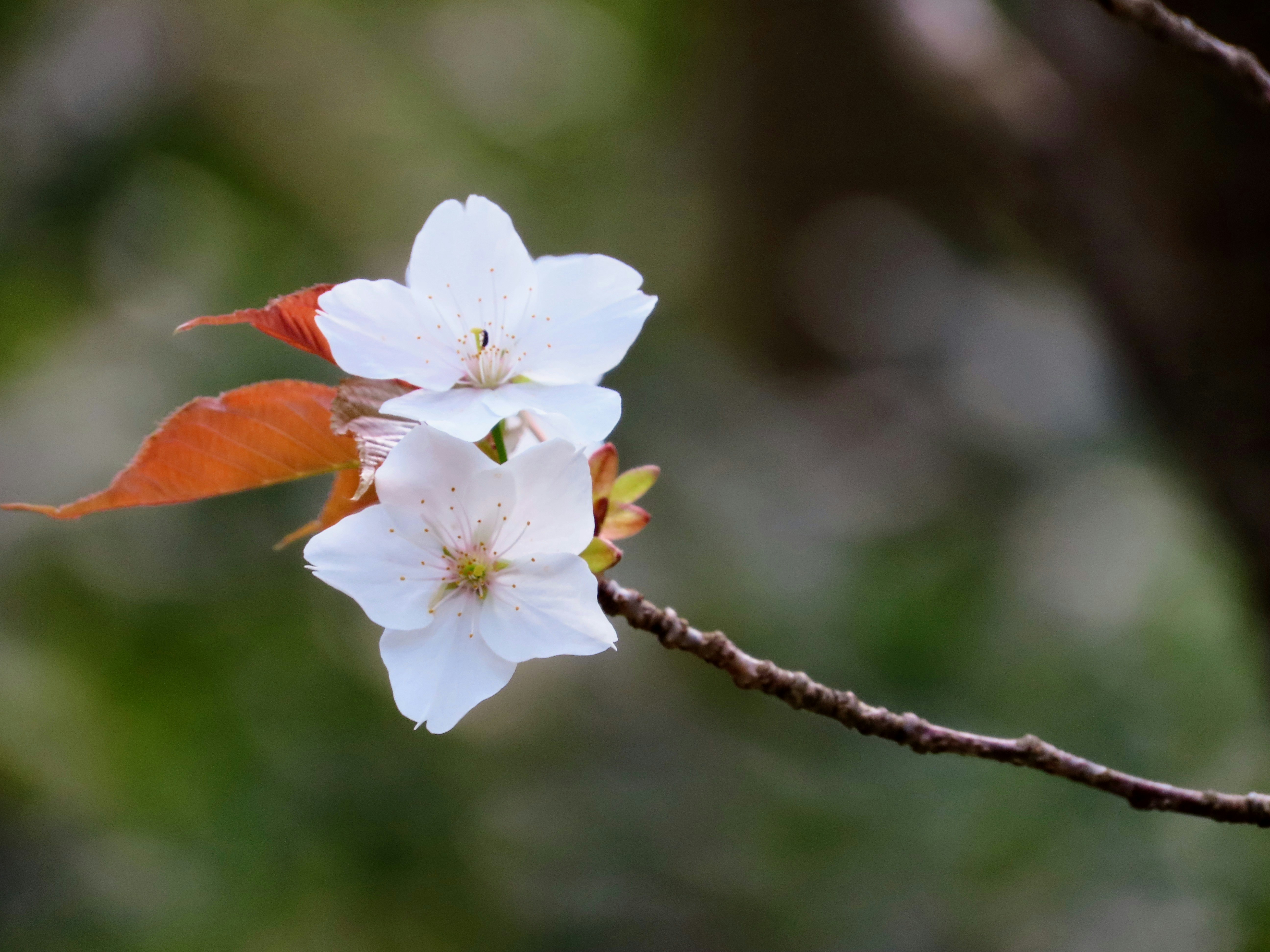 1000+ Unplash Pictures | Download Free Images on Unsplash