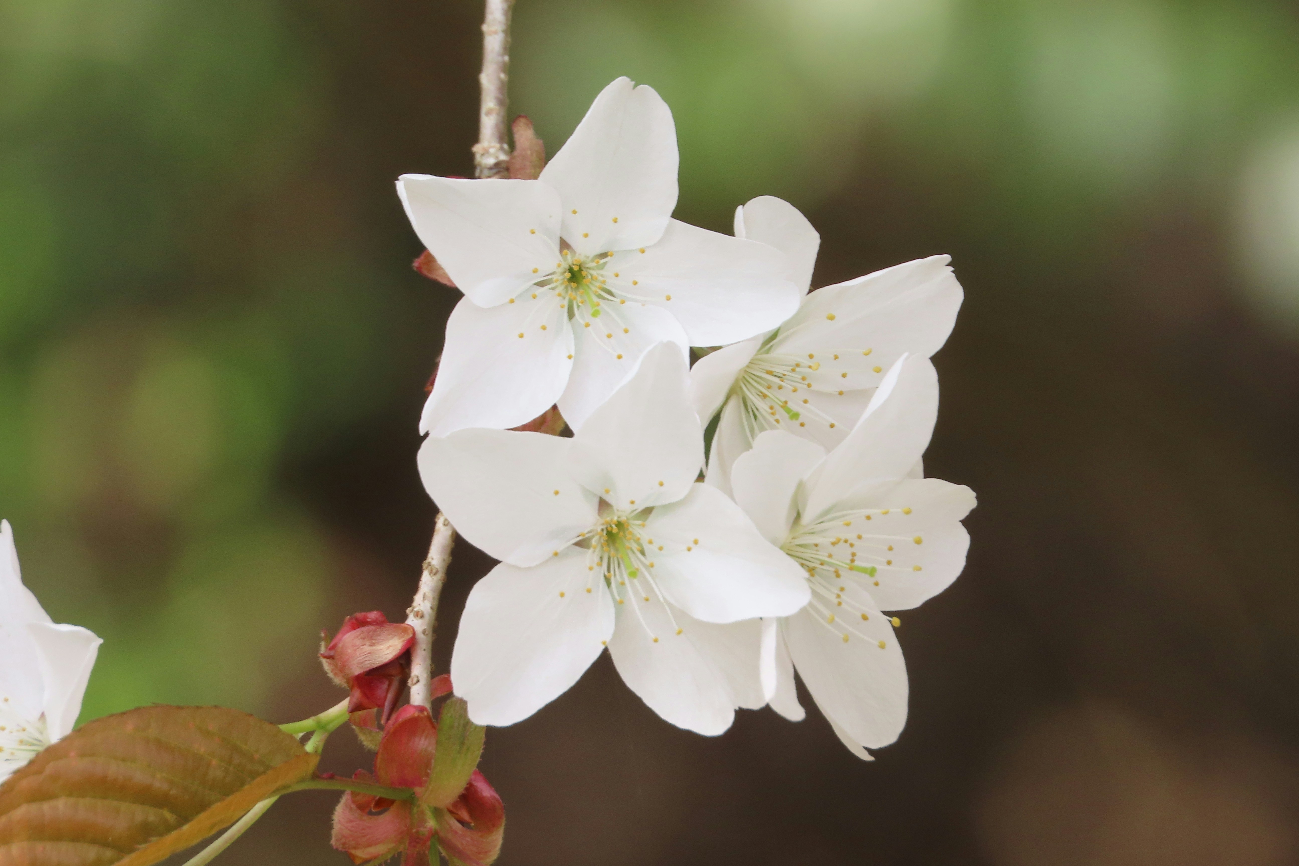 1000+ Unplash Pictures | Download Free Images on Unsplash