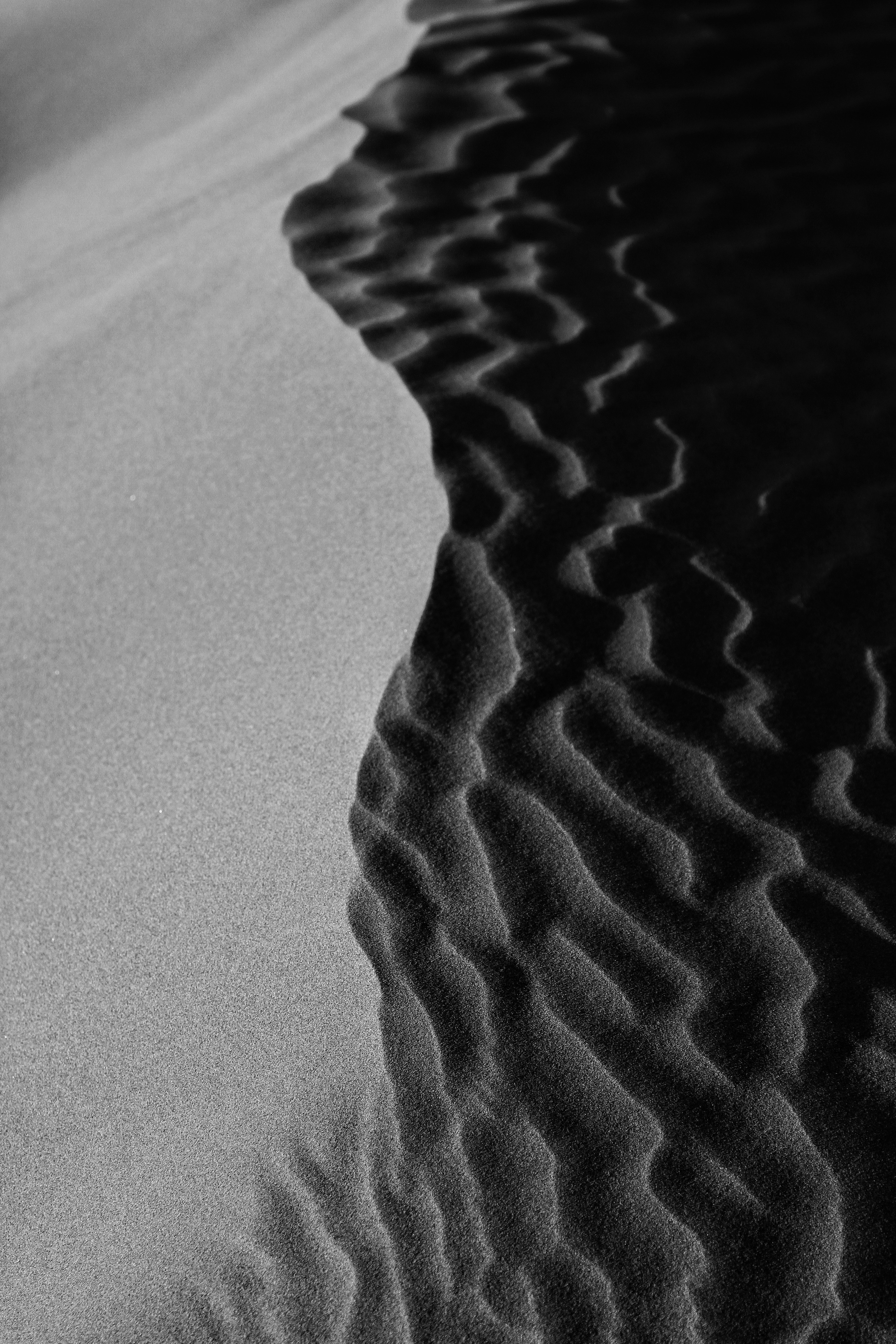 A black and white photo of a sand dune photo – Free Texture Image on ...