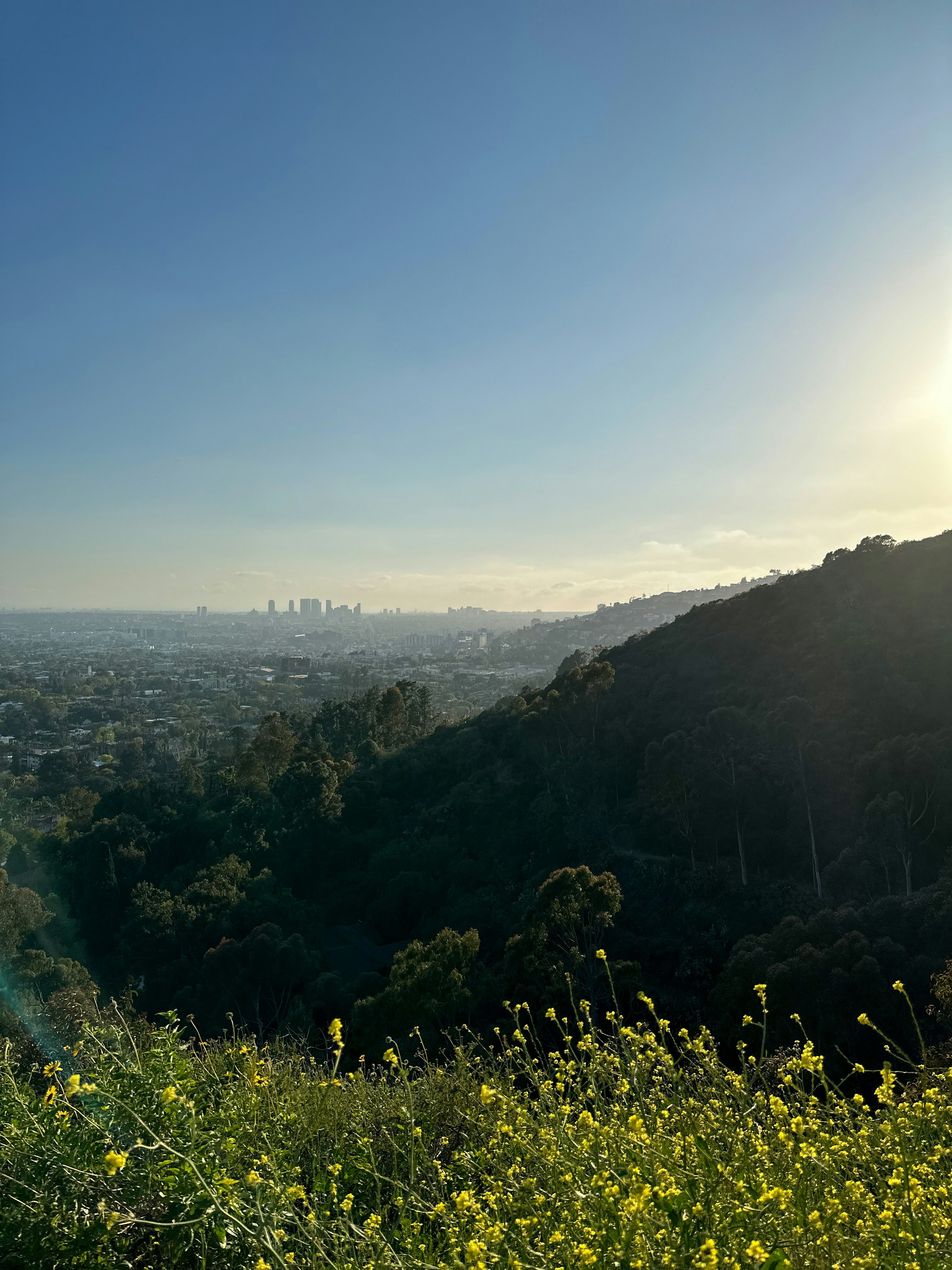 Photo by Andrew Campana with Apple iPhone 14 Pro Max