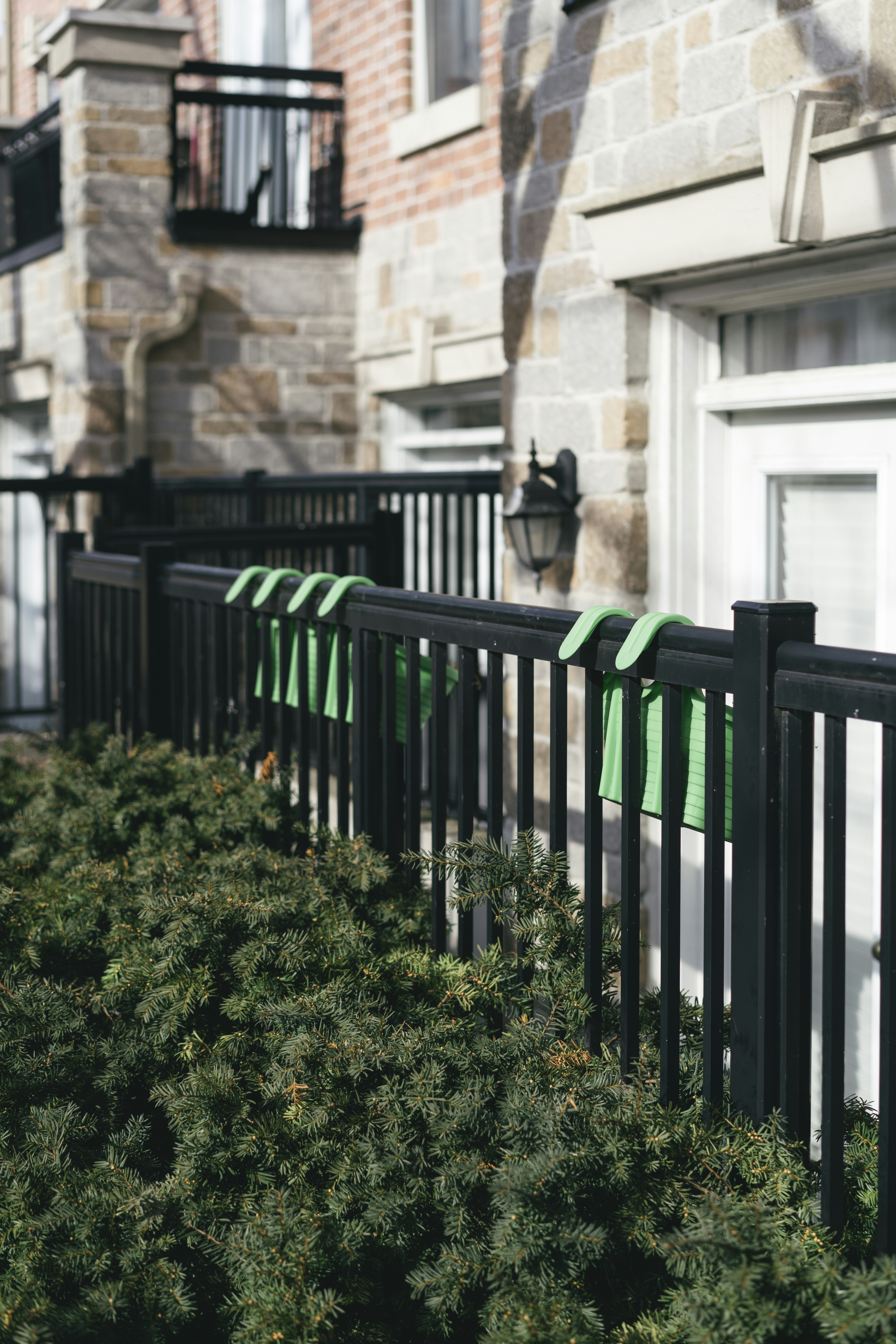 Green Clips on the Iron Fence: A Quiet Urban Portrait