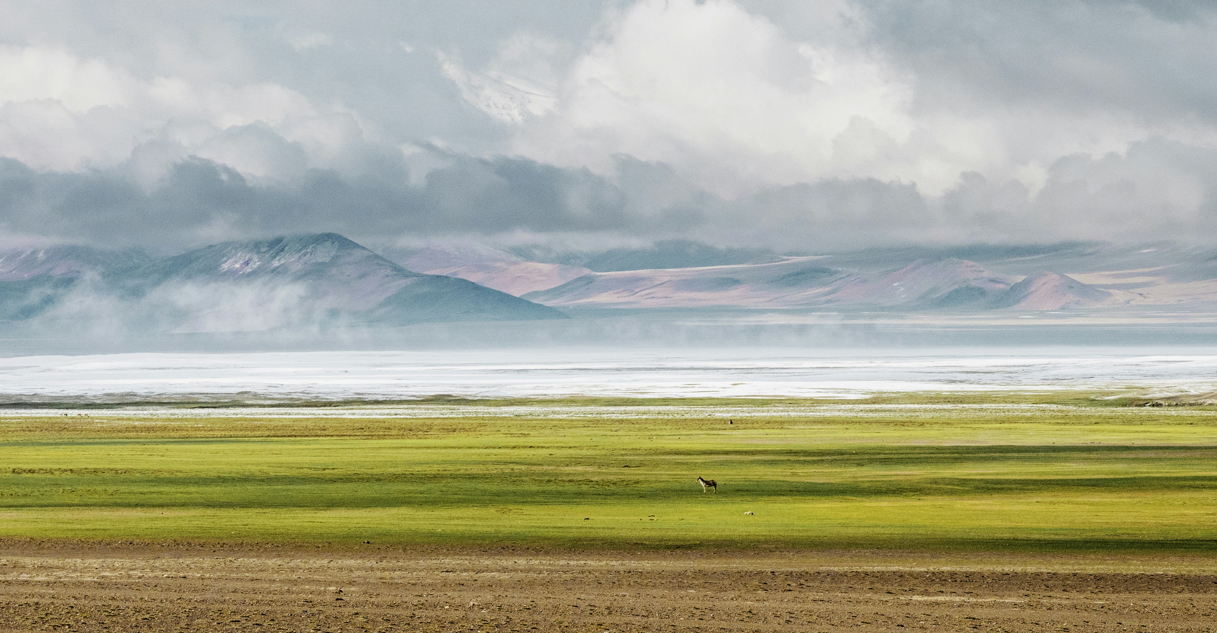 A large open field with mountains in the background photo – Free Kiang ...