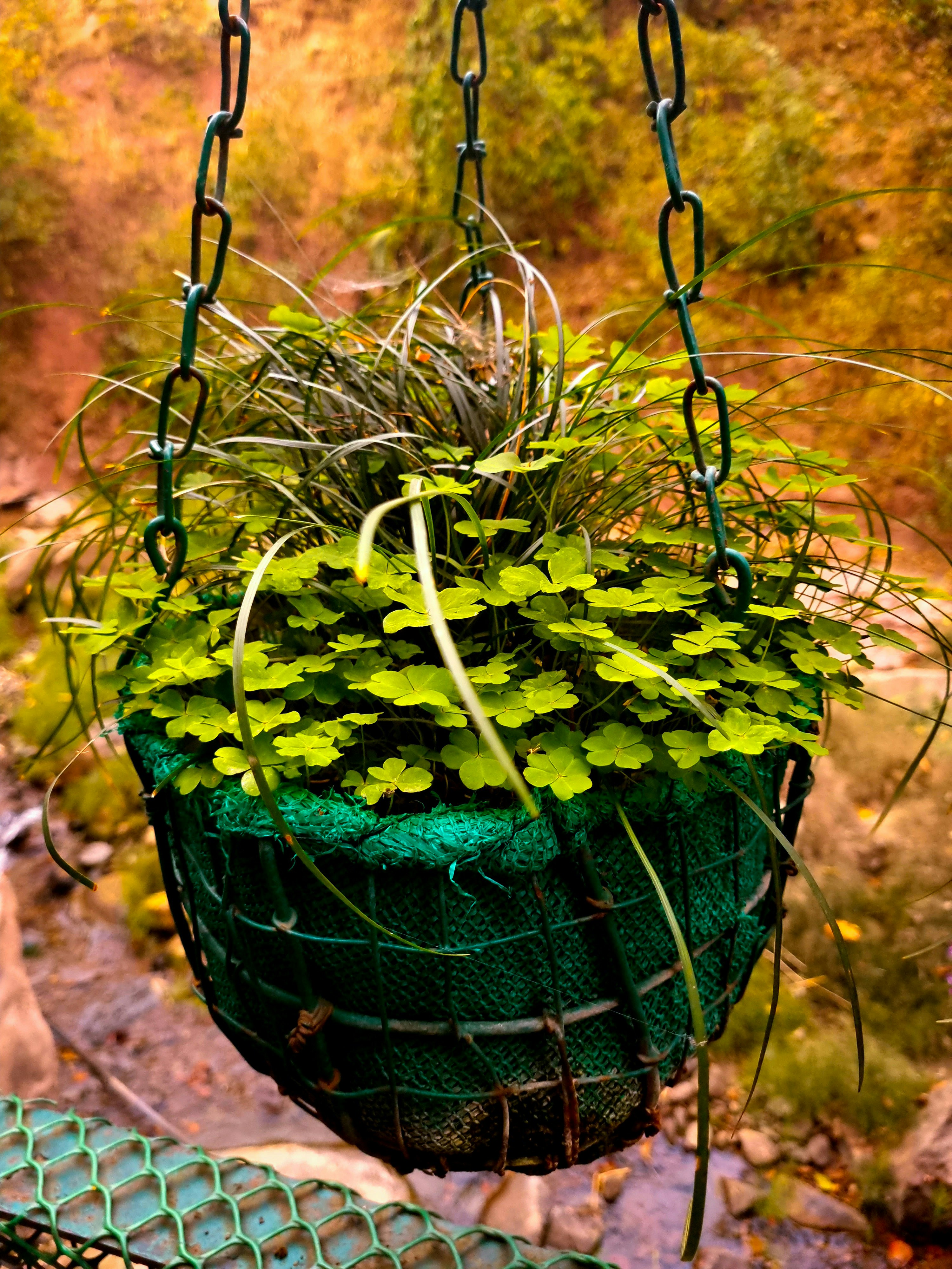 Photo by Akshat Austin with Samsung Galaxy S21