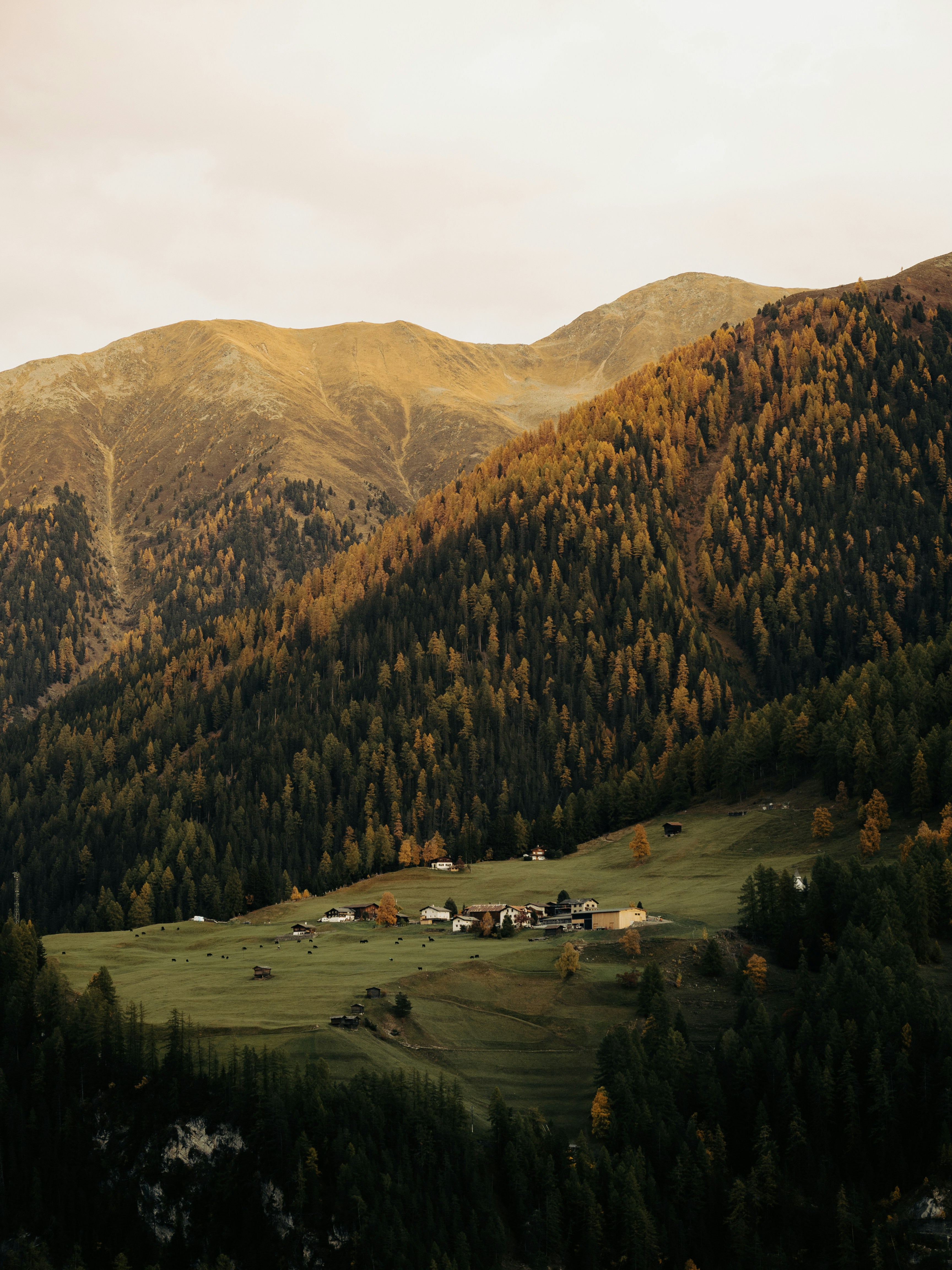 Vibrant autumn foliage blankets the mountainside, contrasting with the serene valley below, dotted with quaint farmhouses.