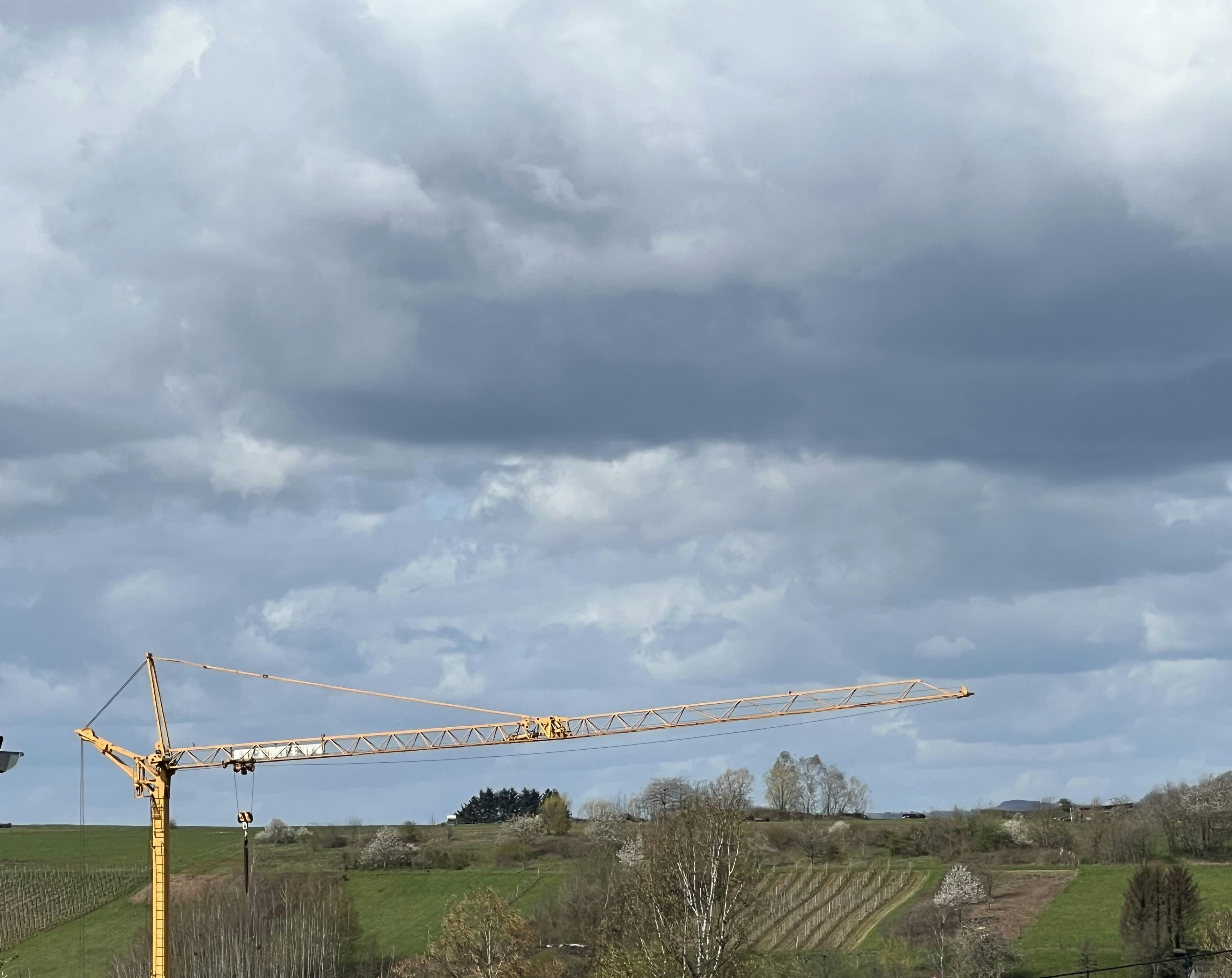 Lone Crane Across a Rolling Field Under a Stormy Sky