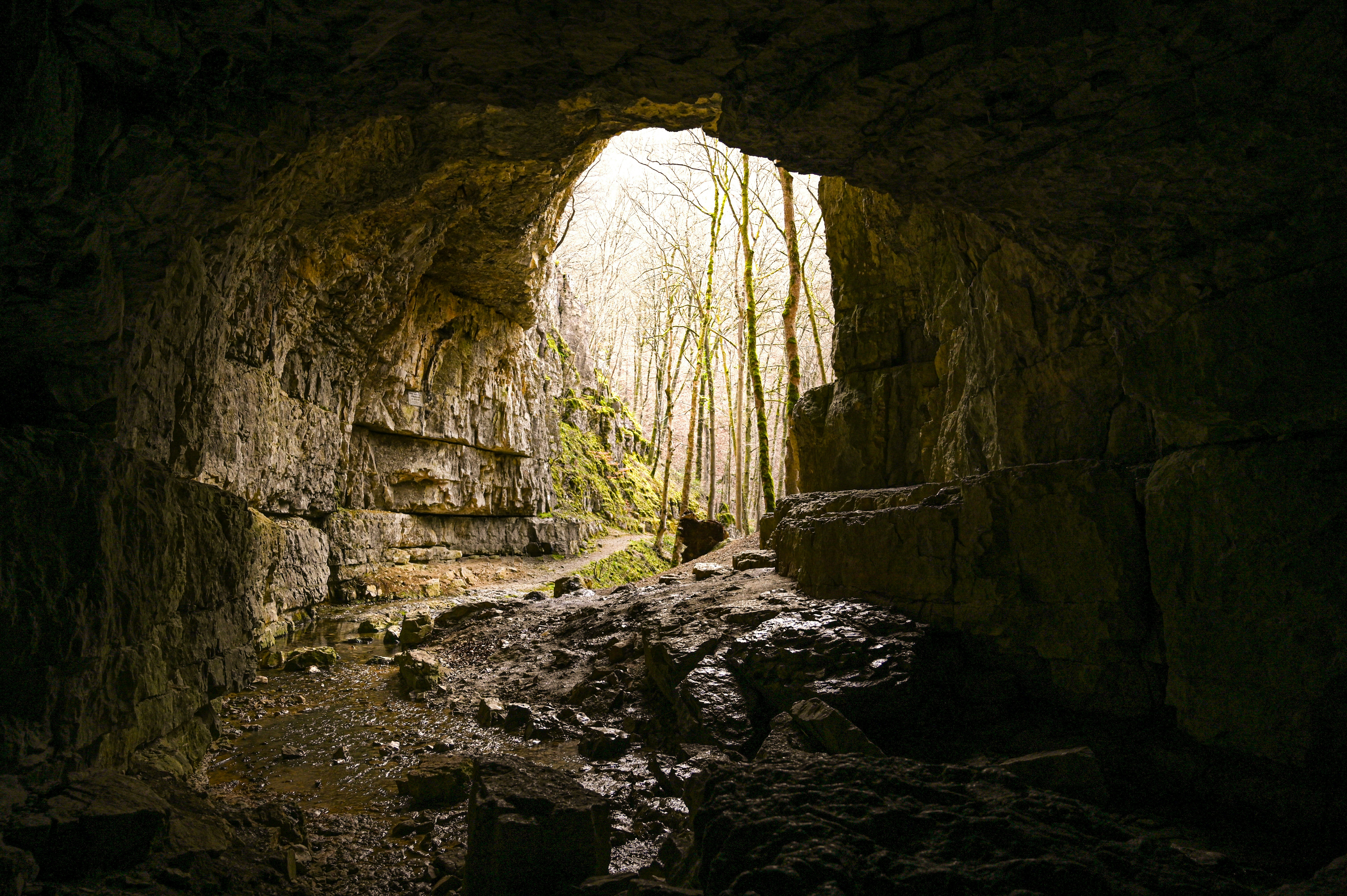 Cavern Pictures | Download Free Images on Unsplash