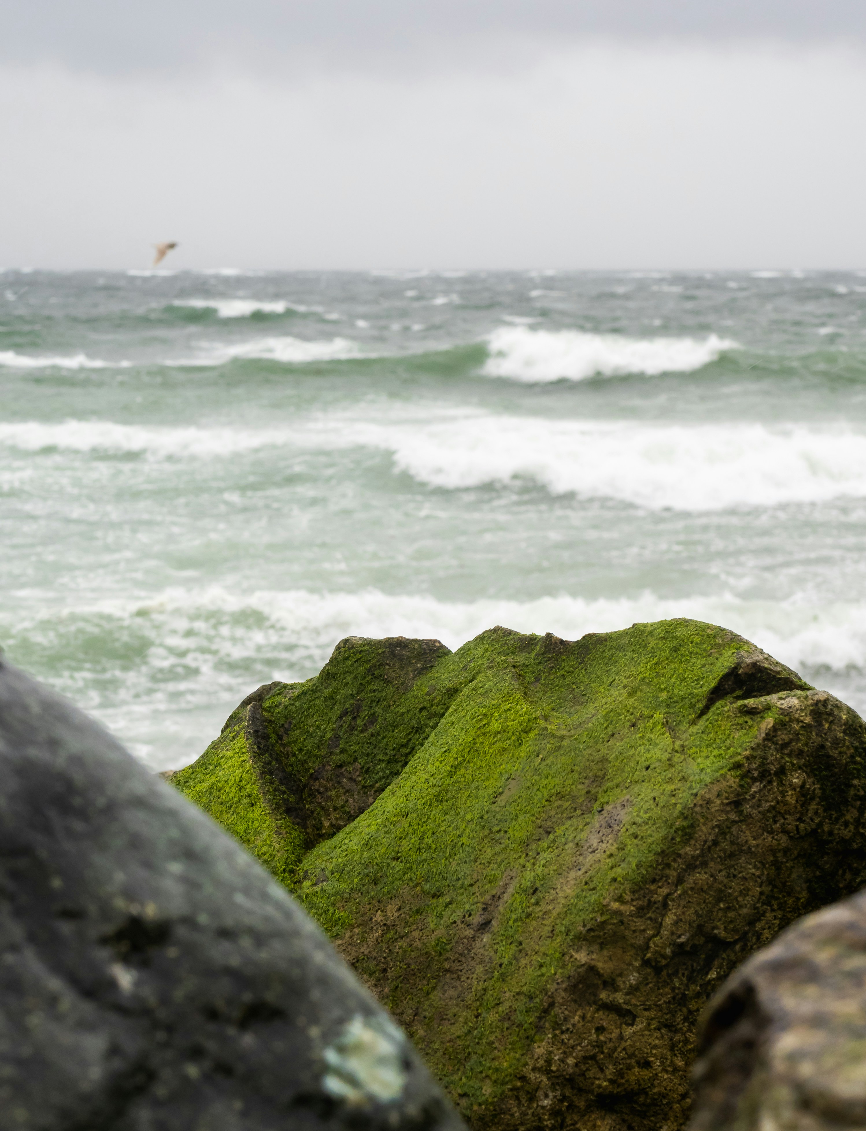 Moss-covered rocks dominate the foreground as white-capped waves roll toward the shore. A distant horizon sits beneath a gray, overcast sky.