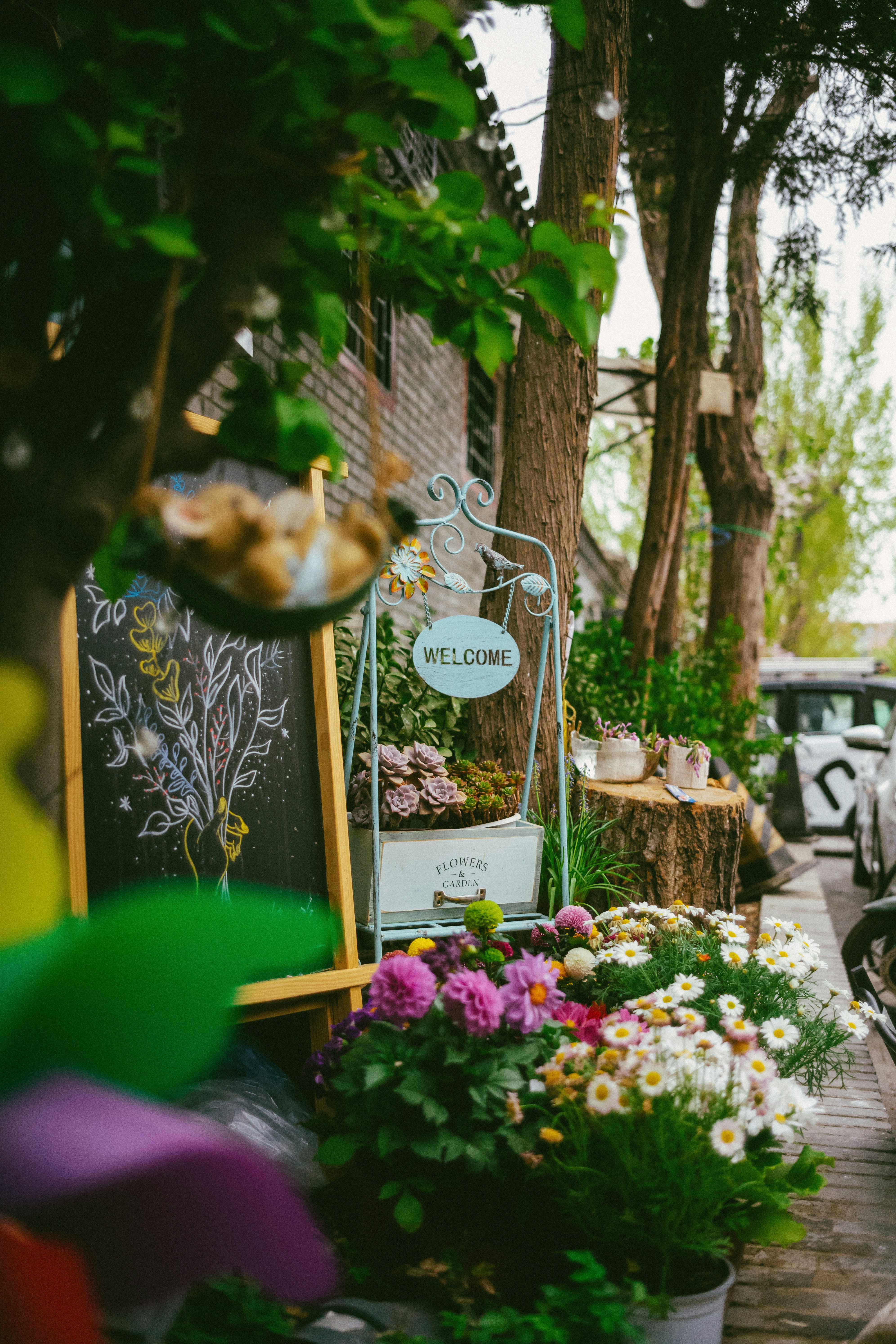 Welcoming Bloom Street: A Sunlit Shopfront of Colorful Flowers