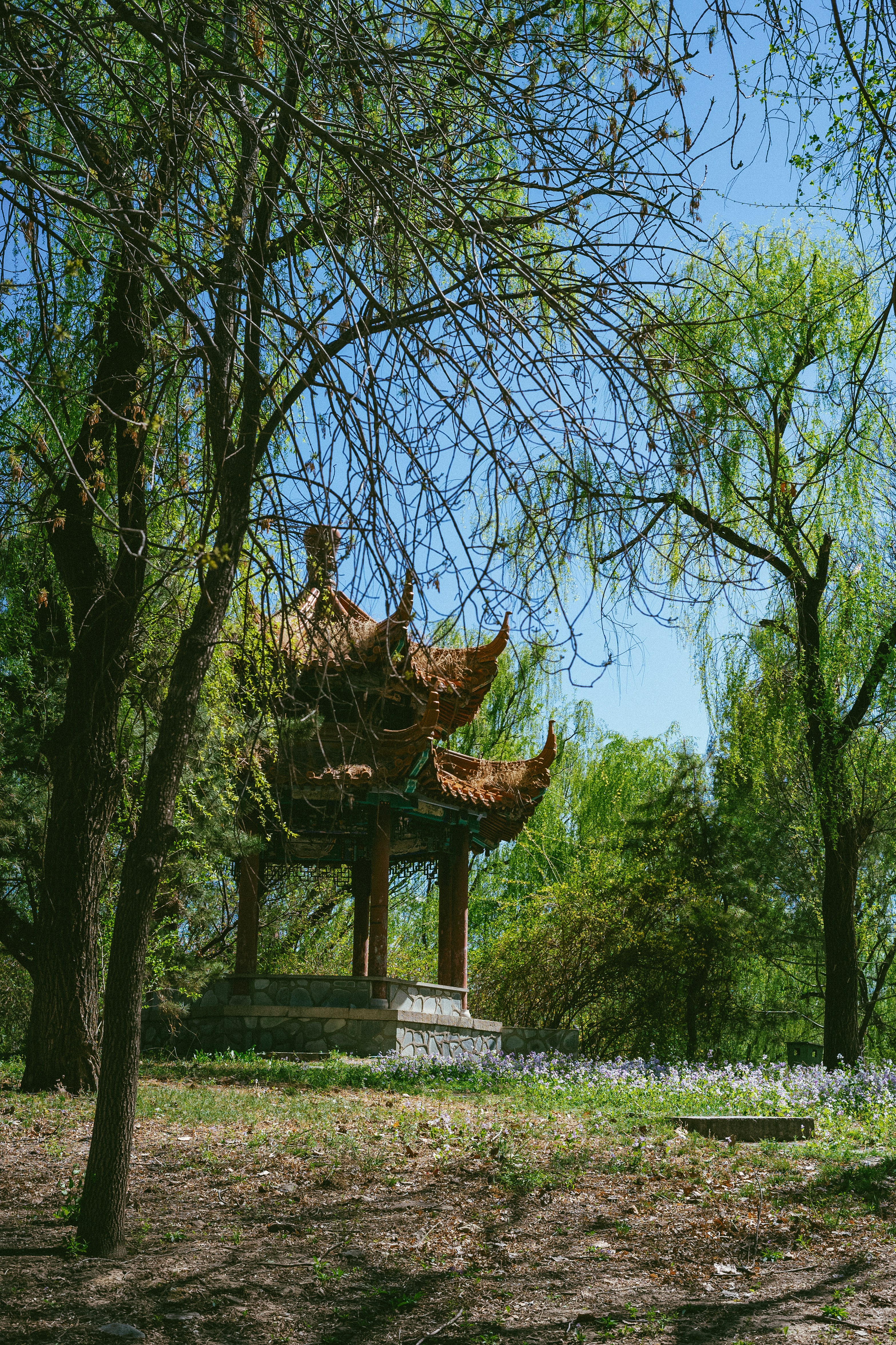 a gazebo in the middle of a park surrounded by trees