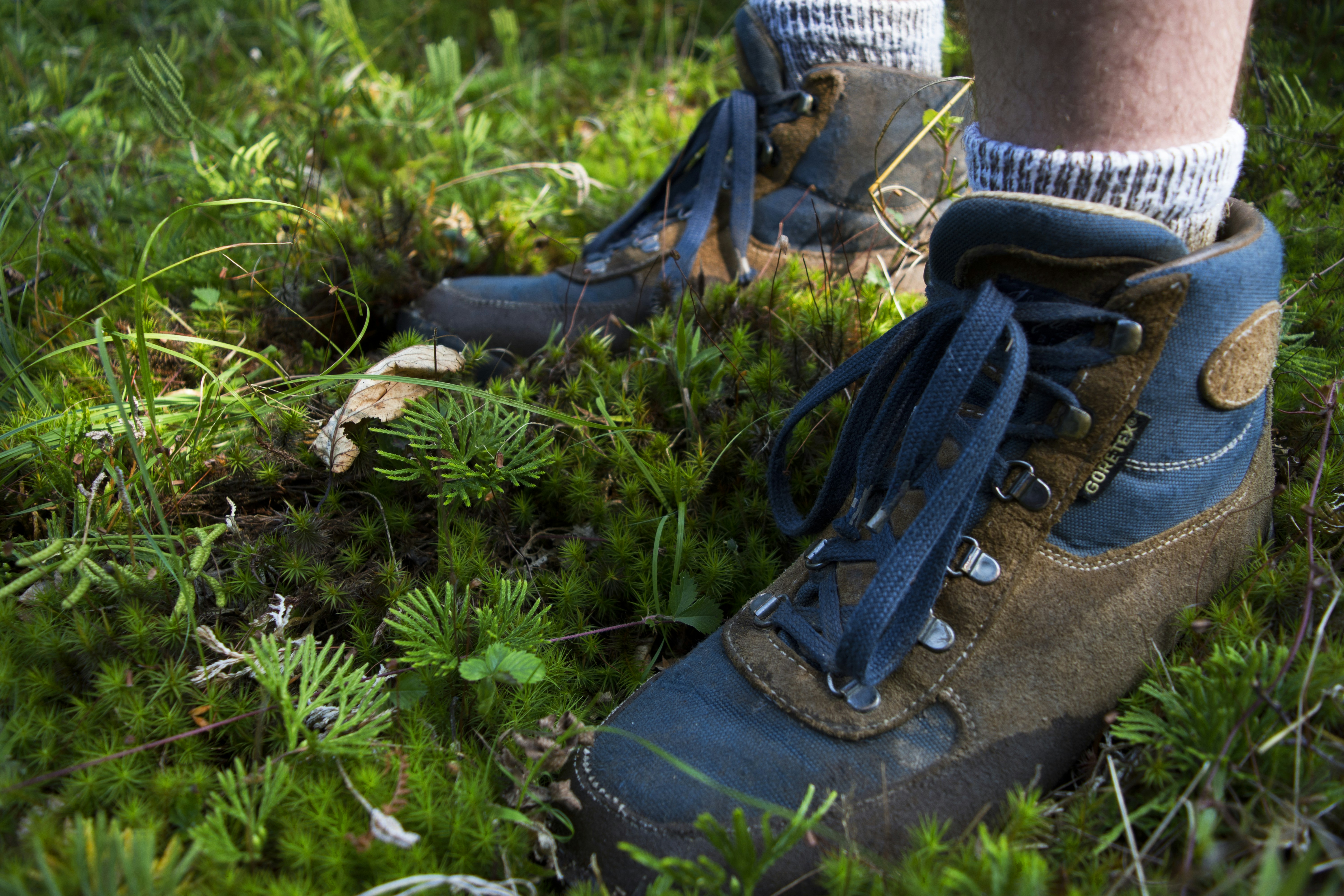 Blue Hiking Boots in Emerald Moss: A Close-Up Trek