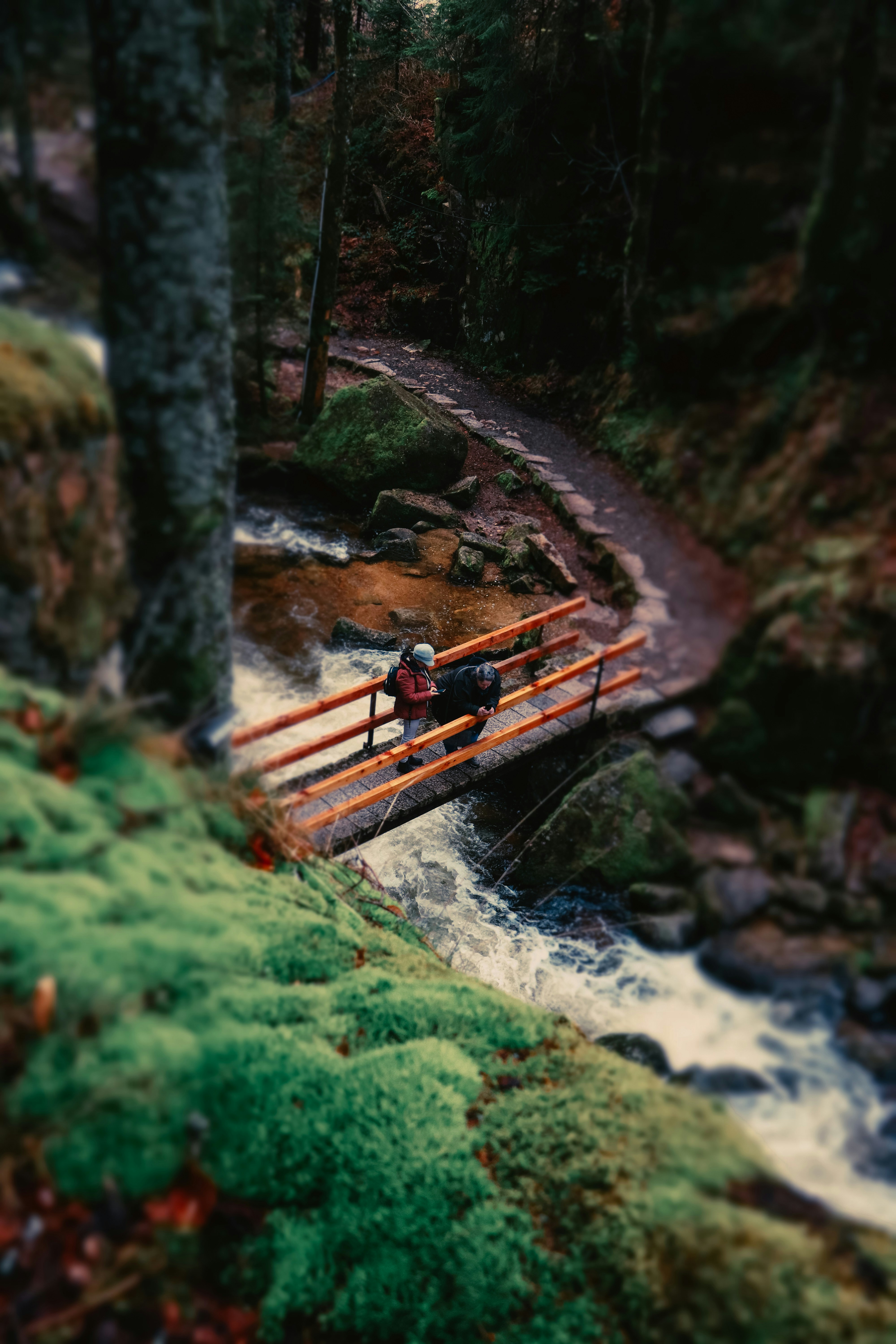 Journey Across the Whispering Stream