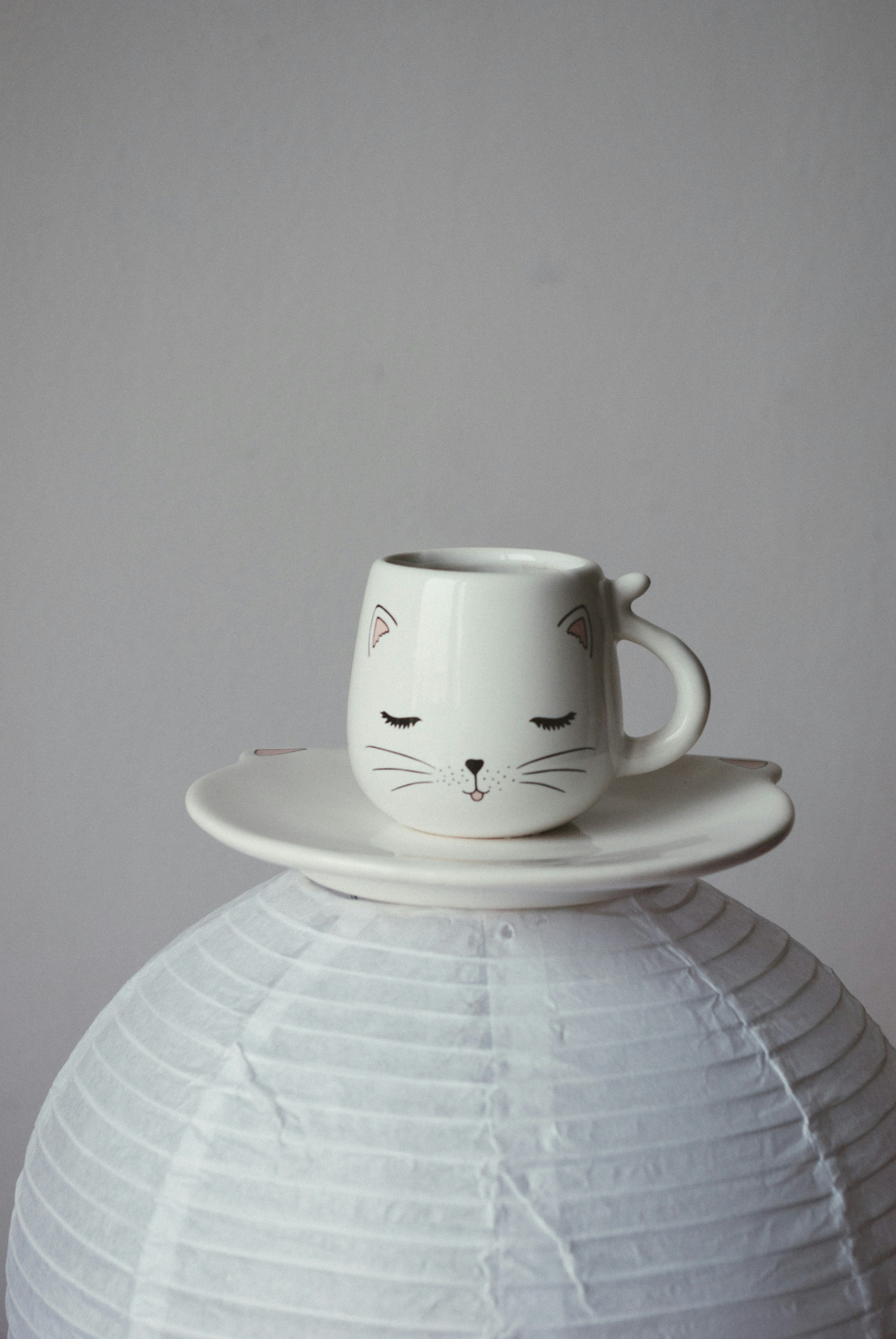 Cat-Tea Summit: A Ceramic Cat Keeps Vigil Over a Soft Lantern