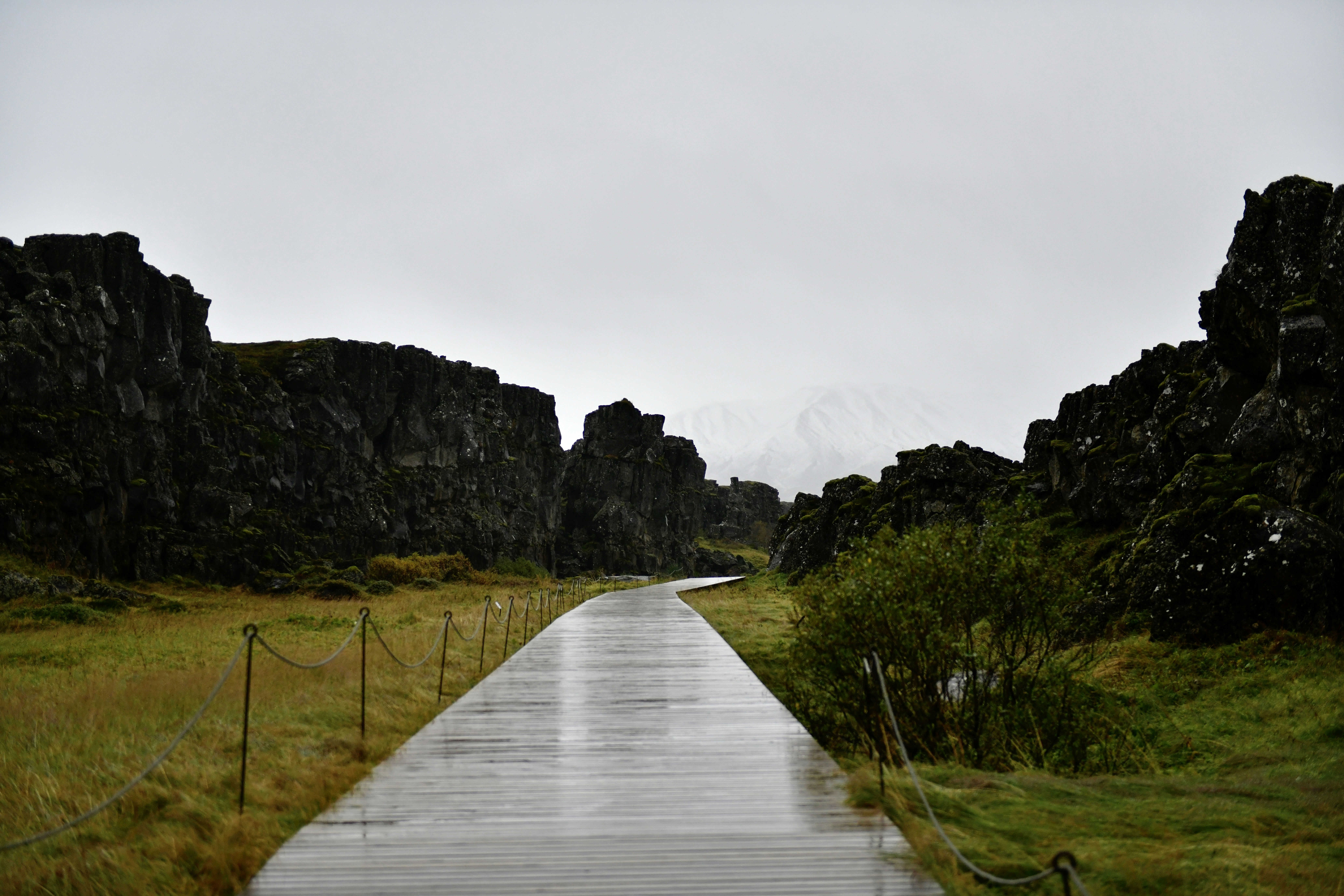 Photo by Holly Landkammer with Nikon D850