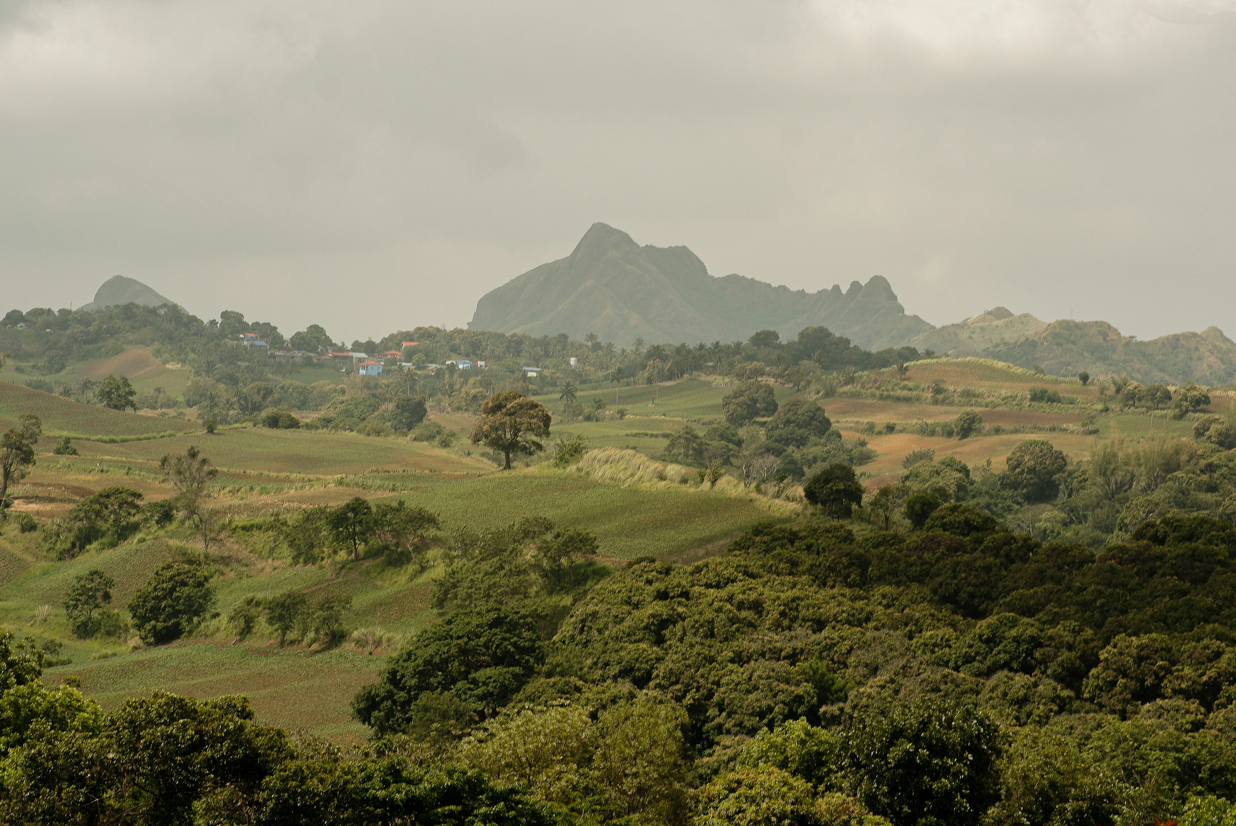 Whispers of the Verdant Hills