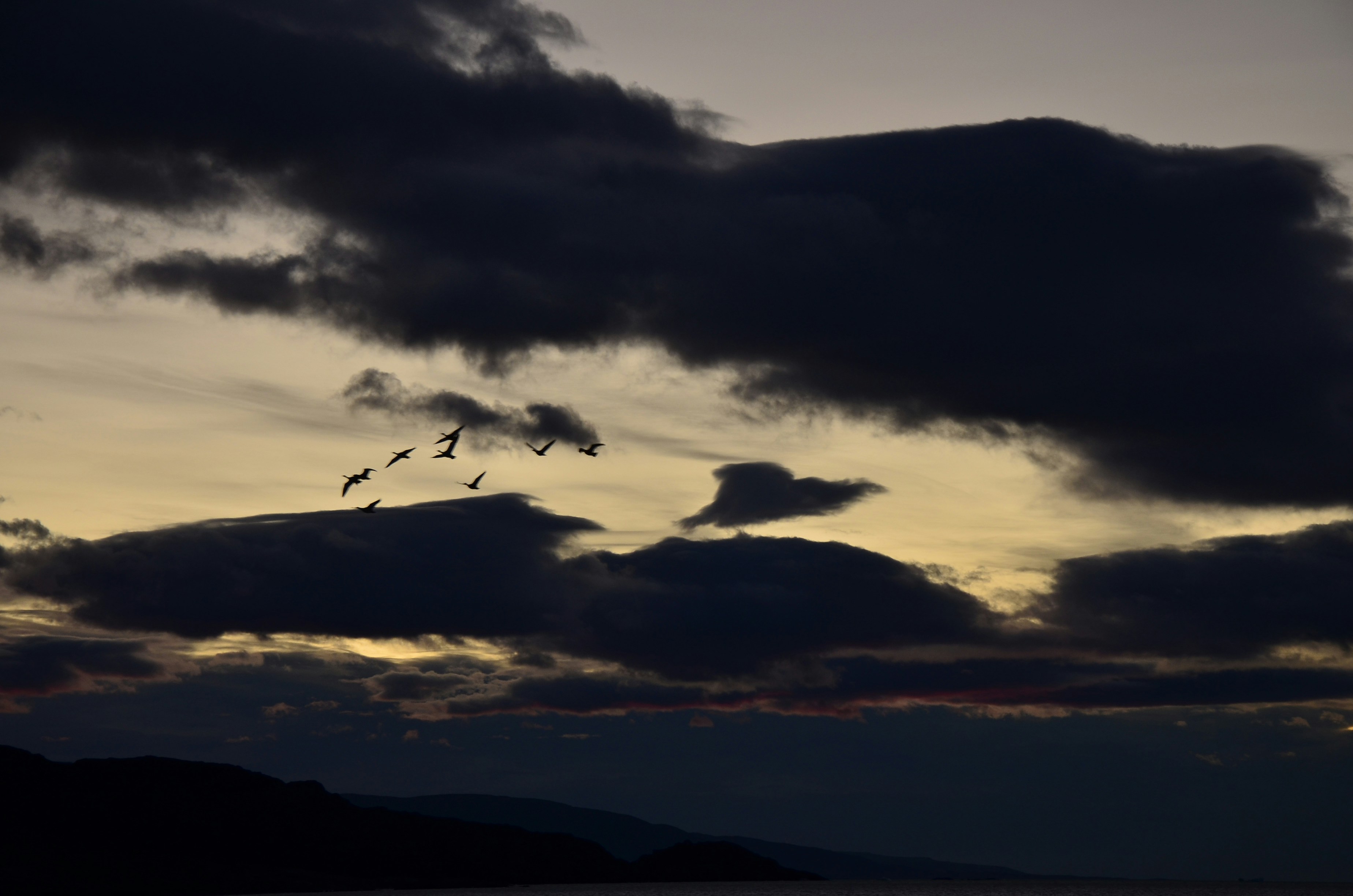 Photo by ELISA KERSCHBAUMER with Nikon D5100