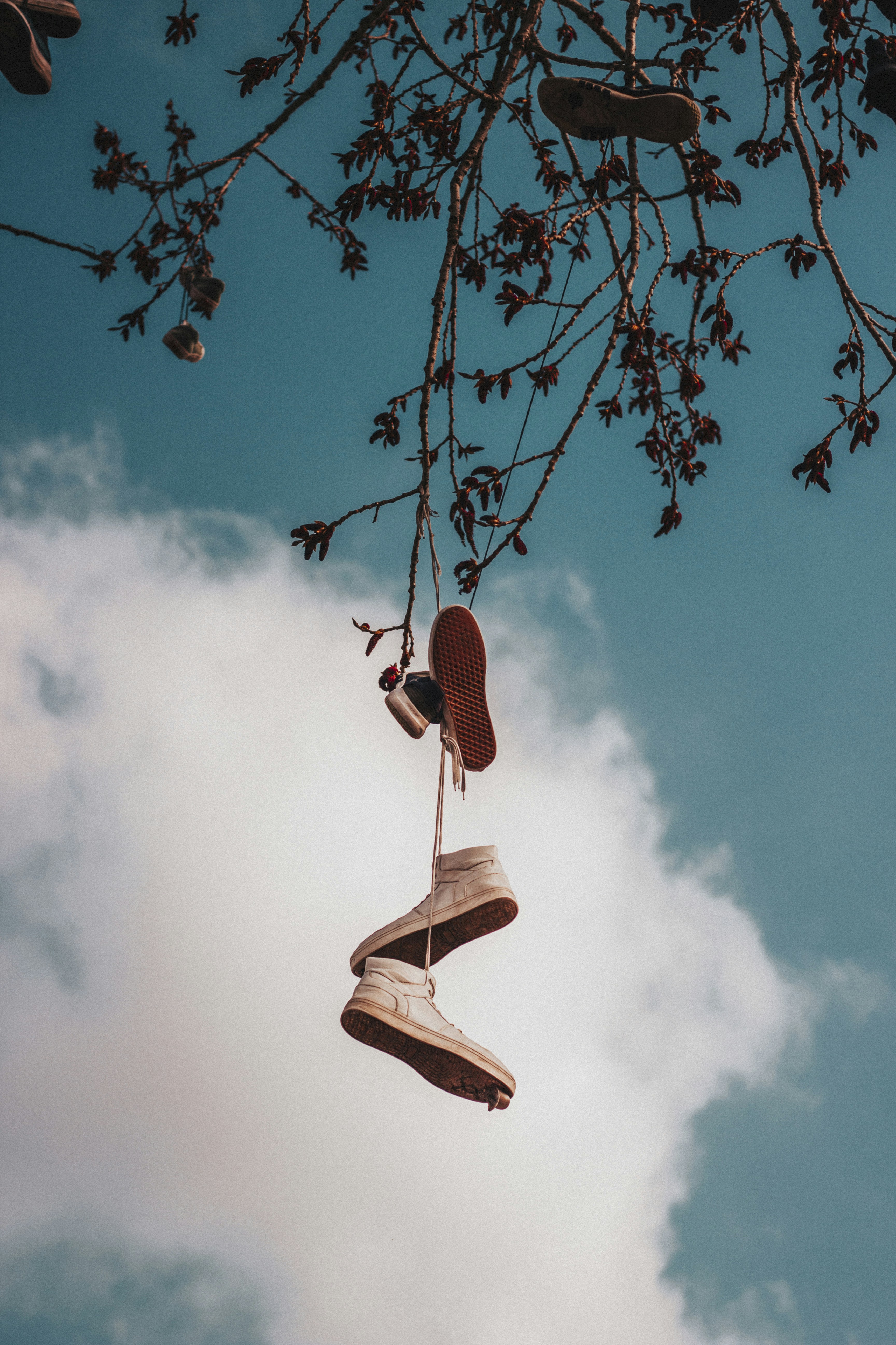 Airborne Shoes: A Pair of Sneakers Swinging in the Sky