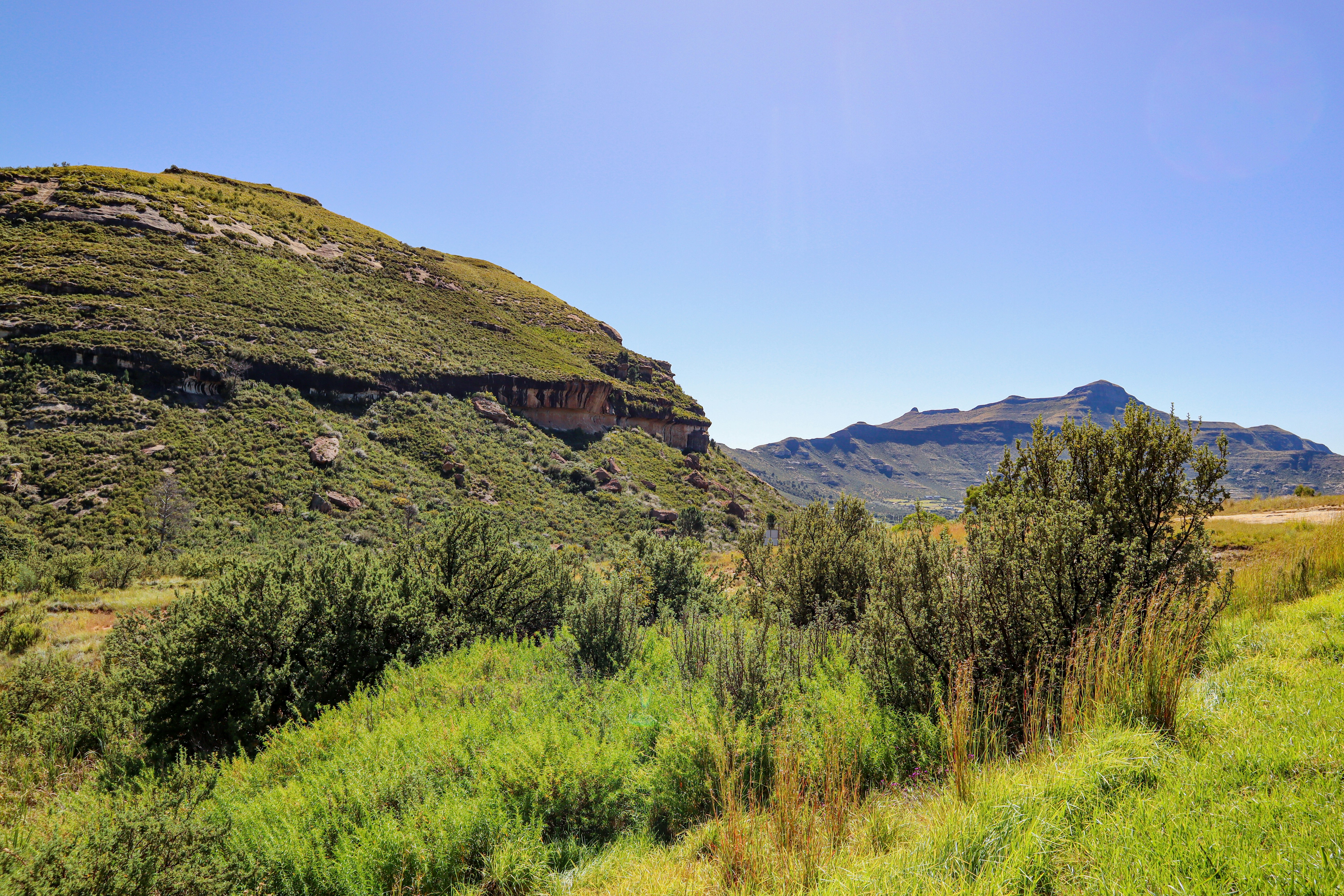 Photo by Tayla Kohler with Canon EOS M50