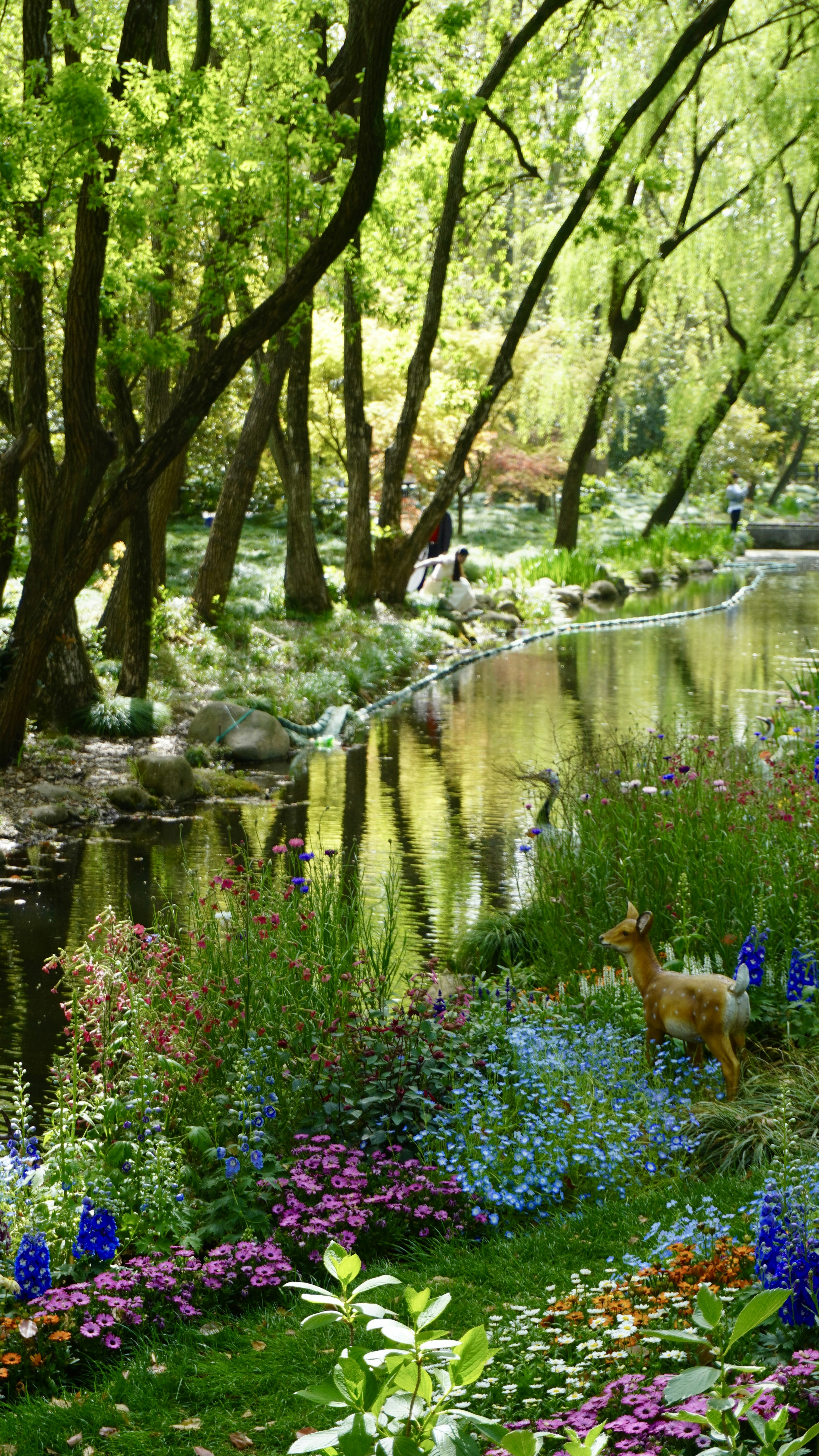 a small pond surrounded by flowers and trees