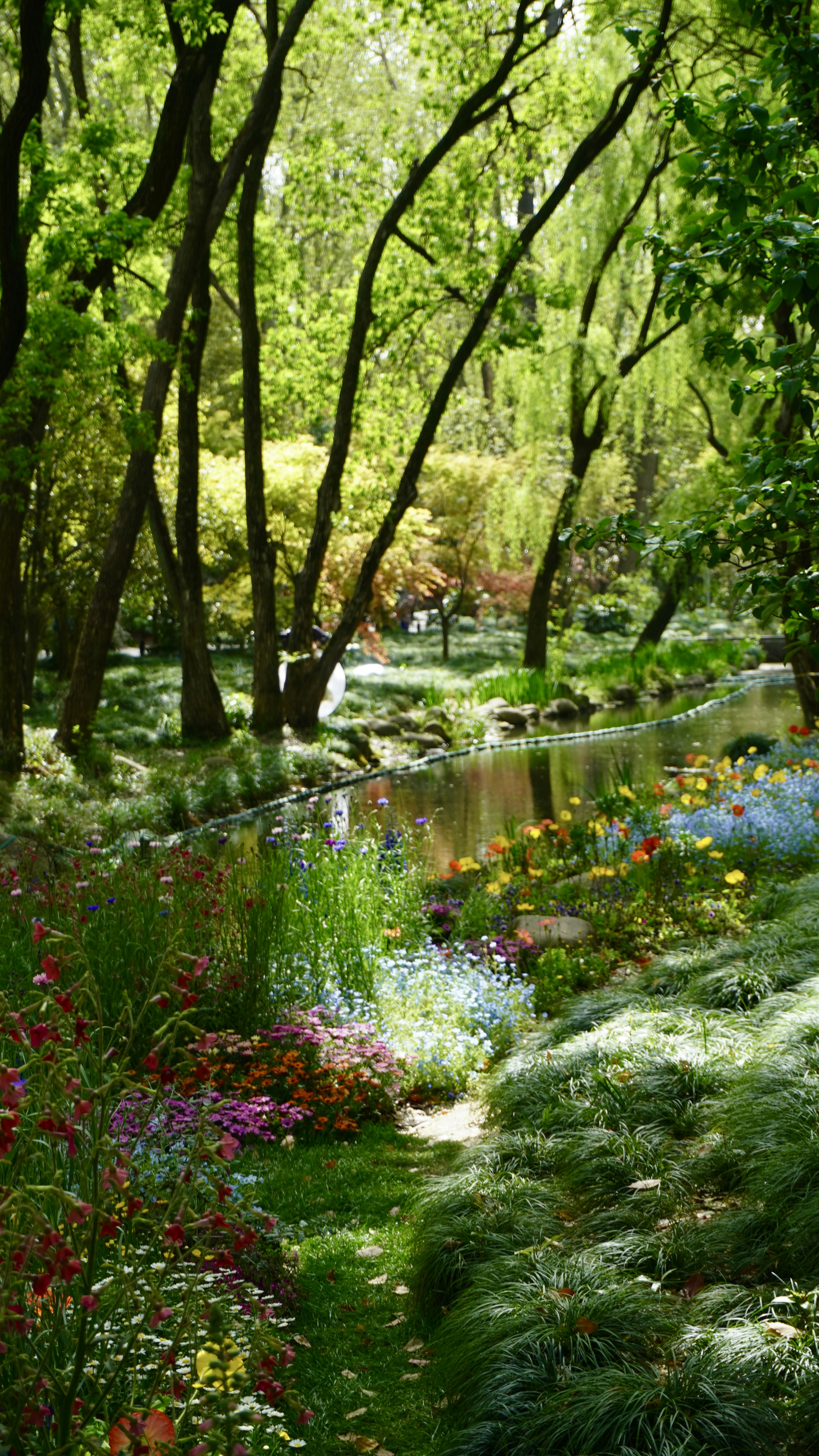 Garden ribbon: sunlight through a canopy over a winding flower-lined stream