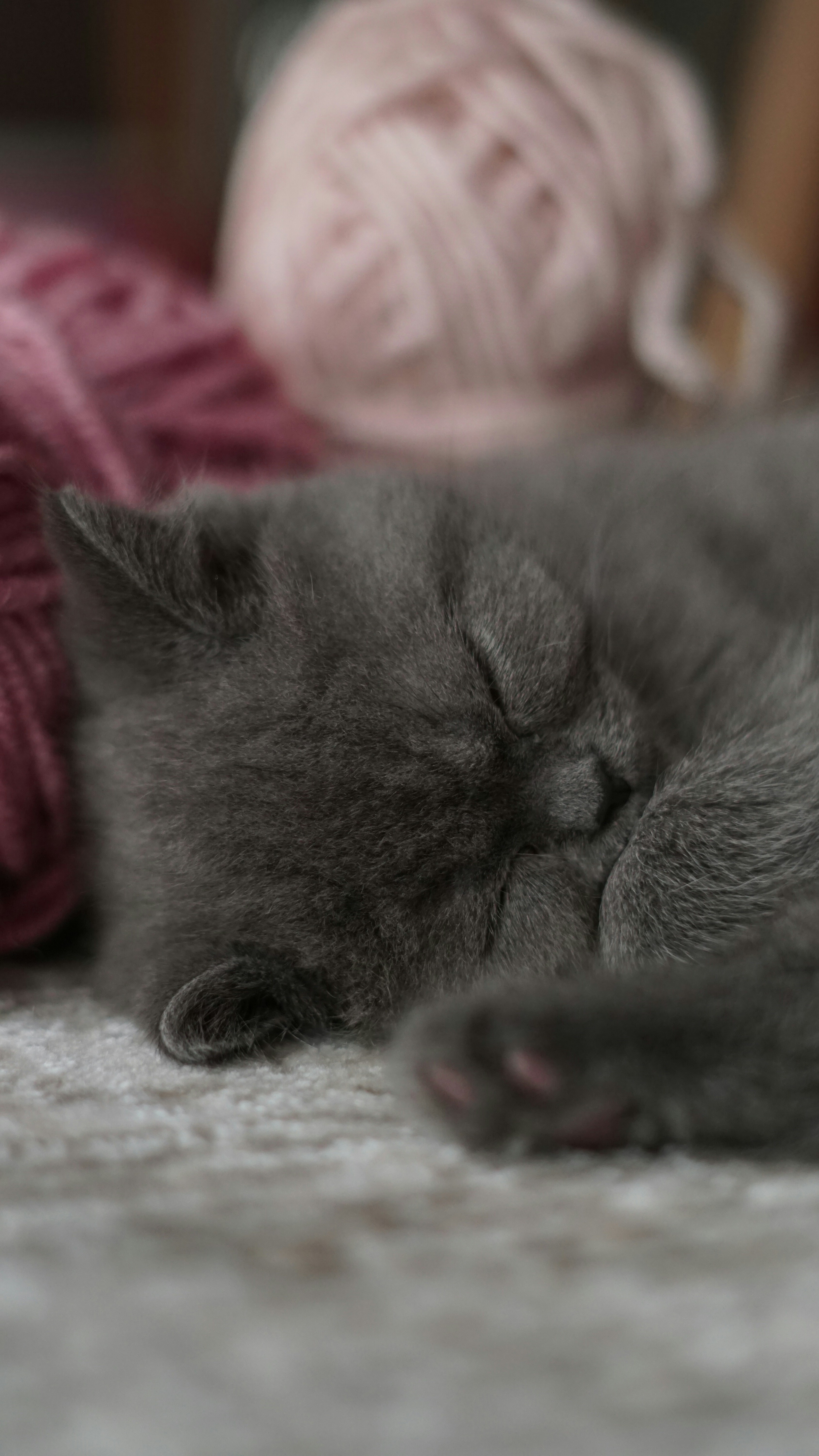 Photo by Duygu Güngör with Sony Alpha 6000