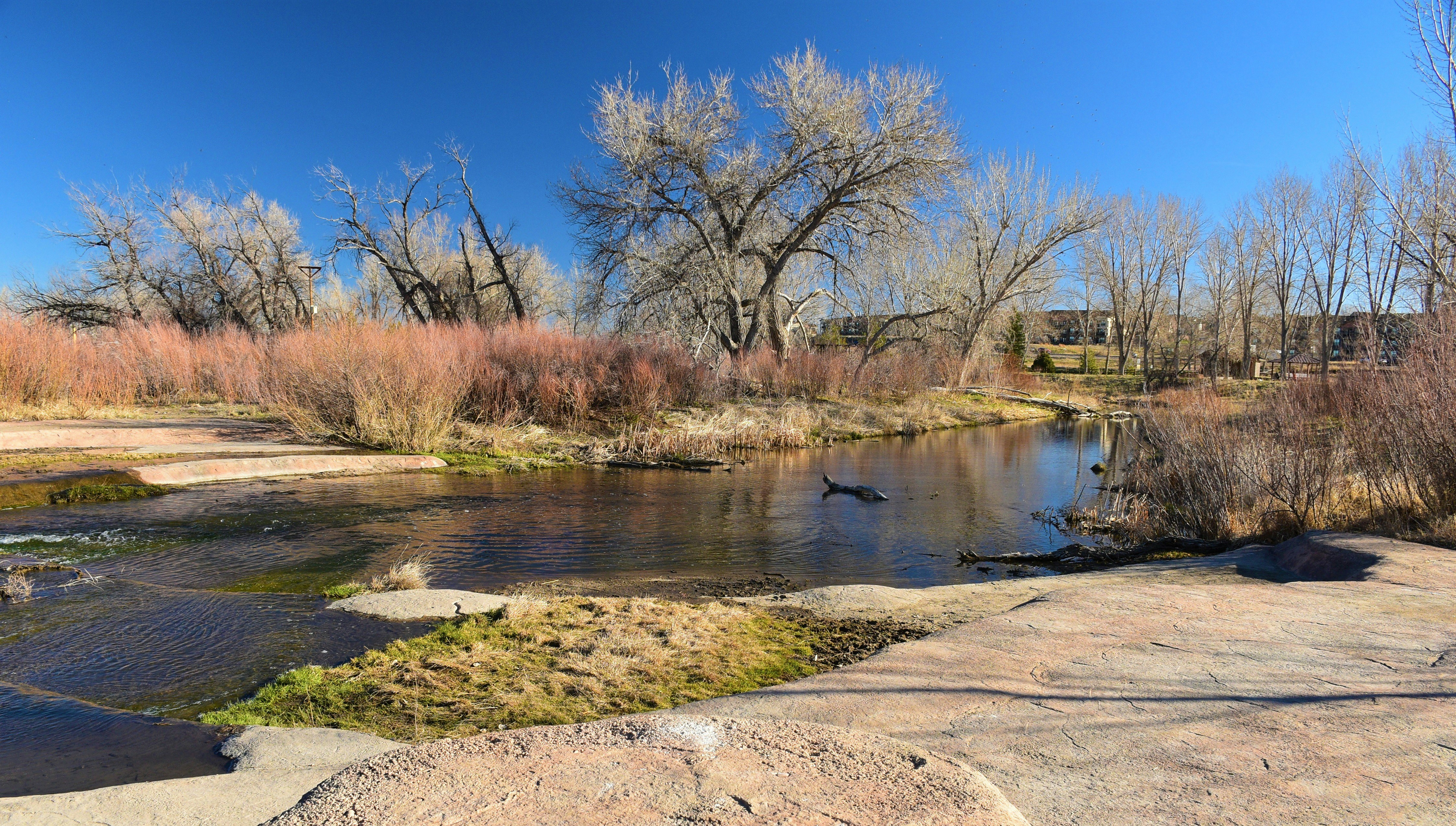 Free Usa Image on Unsplash