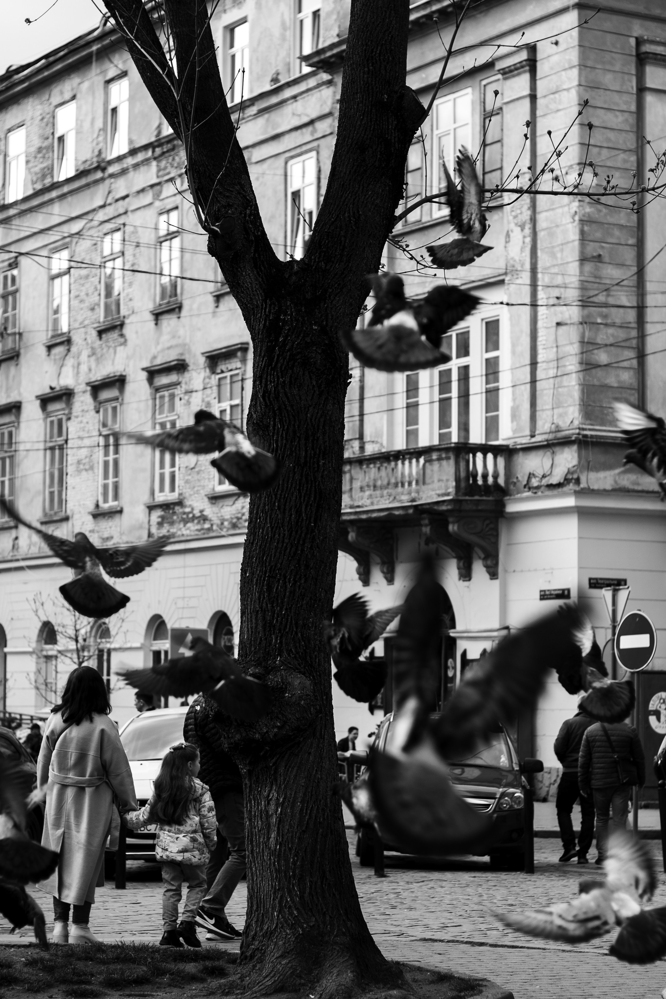 A woman and child pause beneath a tree as a flurry of pigeons takes flight, capturing a moment of urban life intertwined with nature. The scene is rendered in black and white, enhancing the atmosphere.