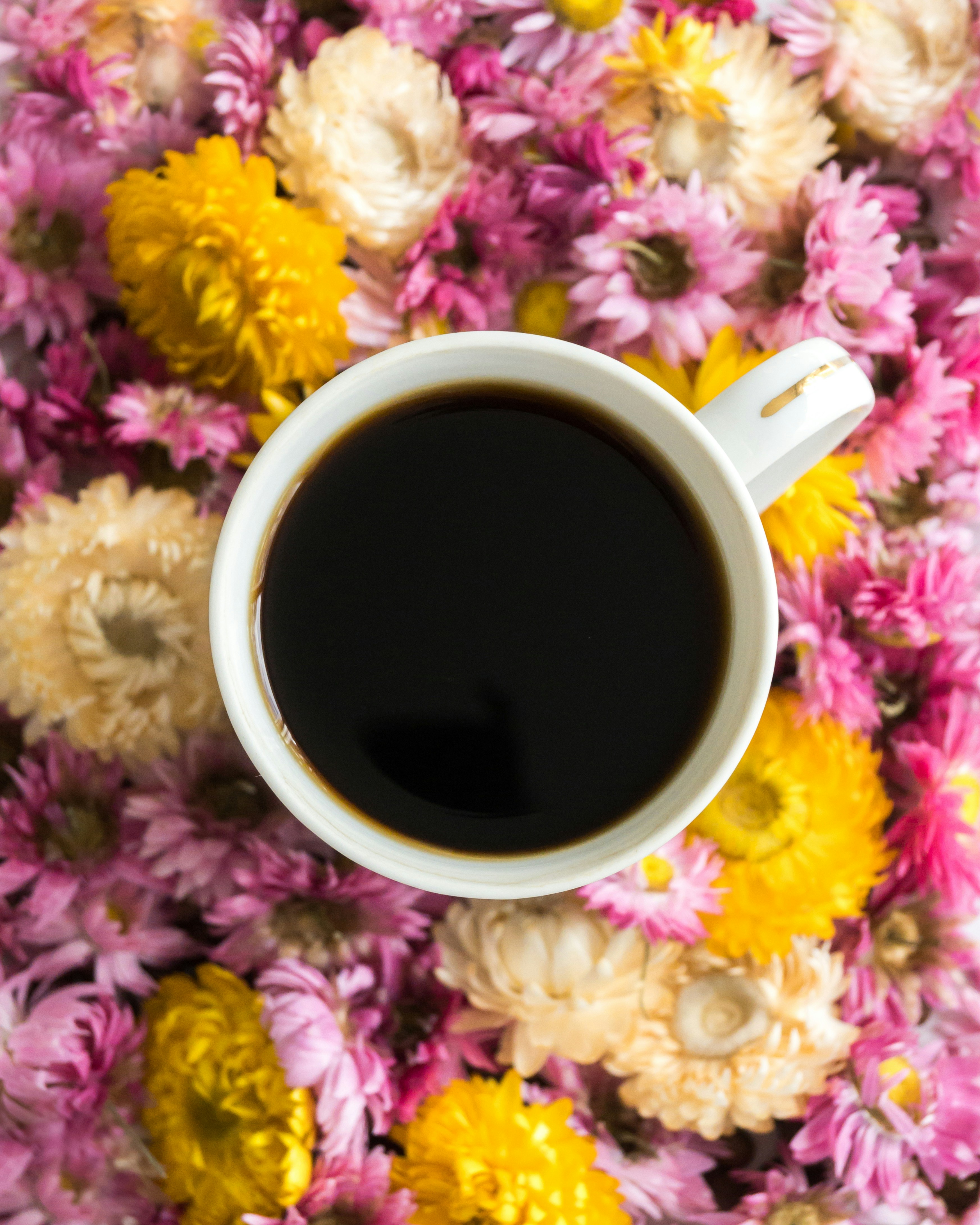 Coffee And Flowers Pictures | Download Free Images on Unsplash