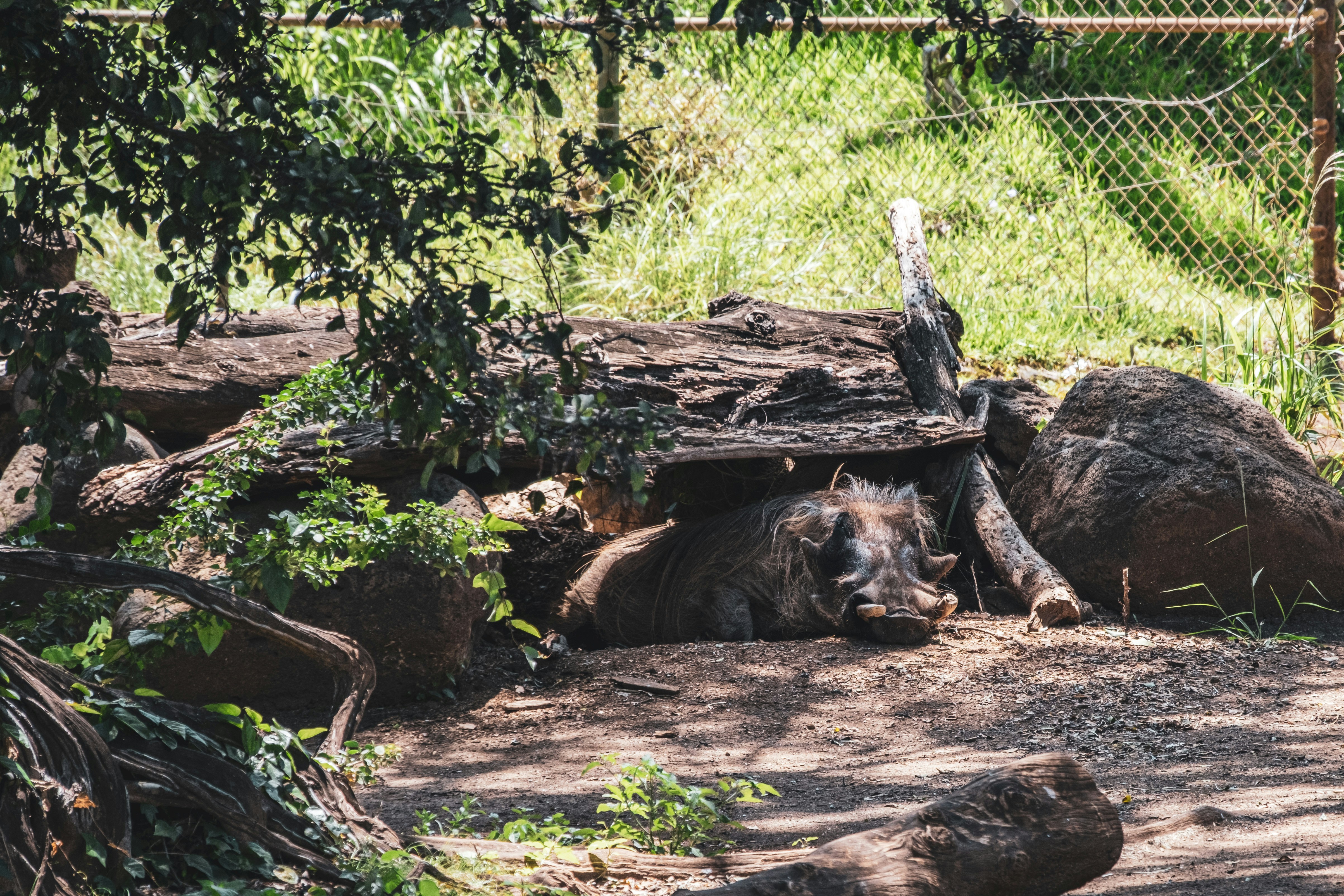 Photo by Alan Rodriguez with Fujifilm X-T4