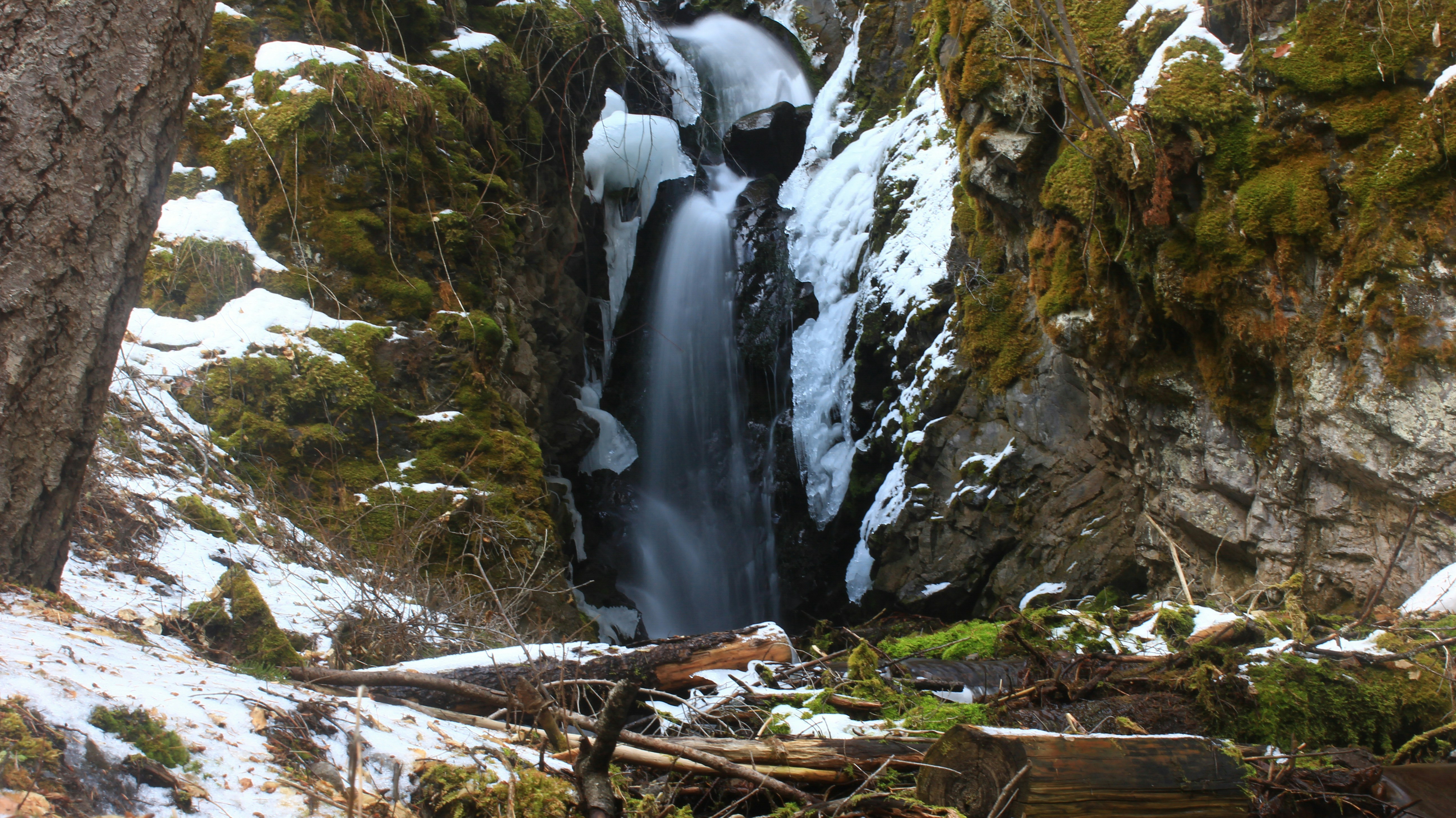 Icy Veil in a Moss-Cloaked Gorge