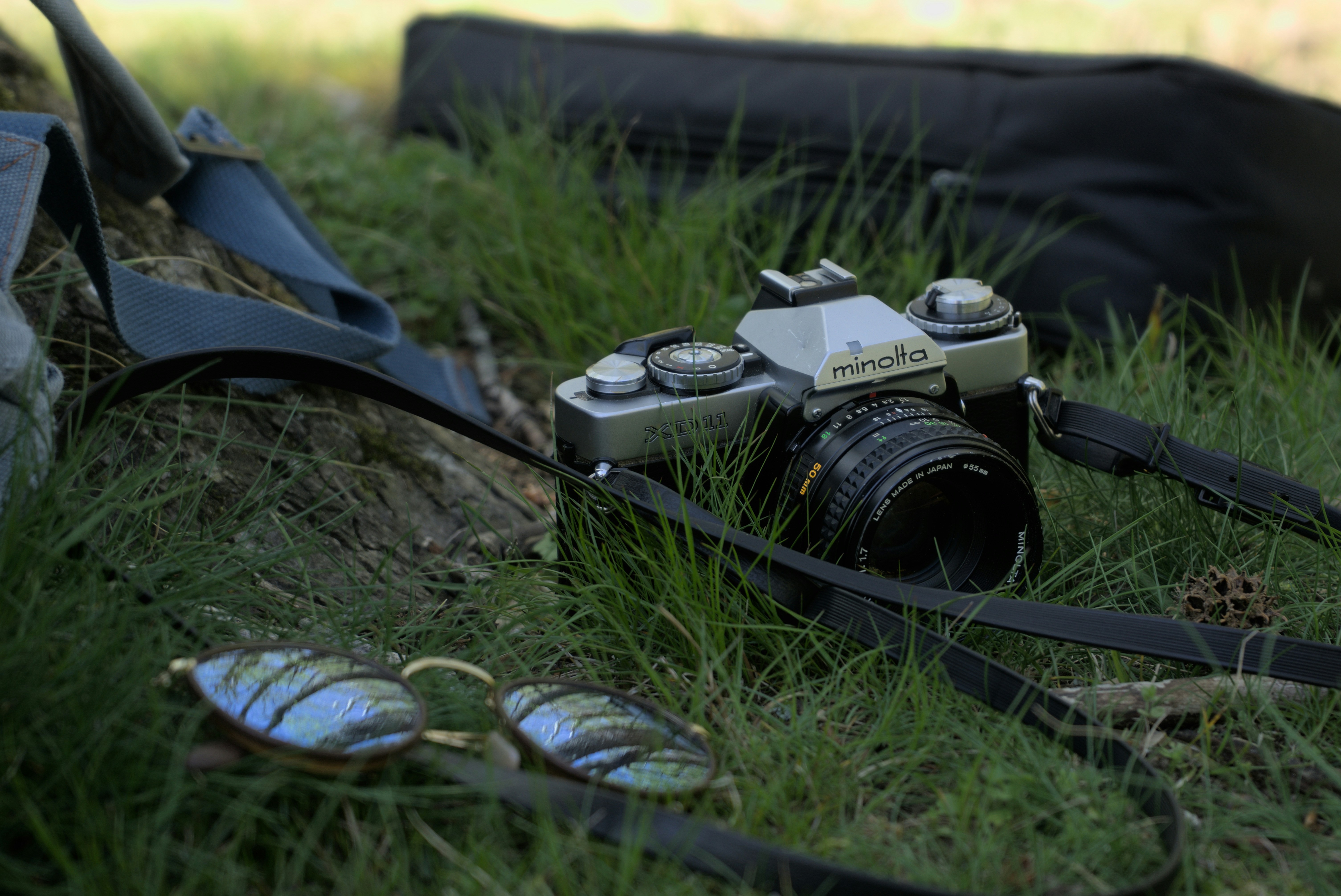 A camera and a pair of sunglasses laying in the grass photo – Free ...