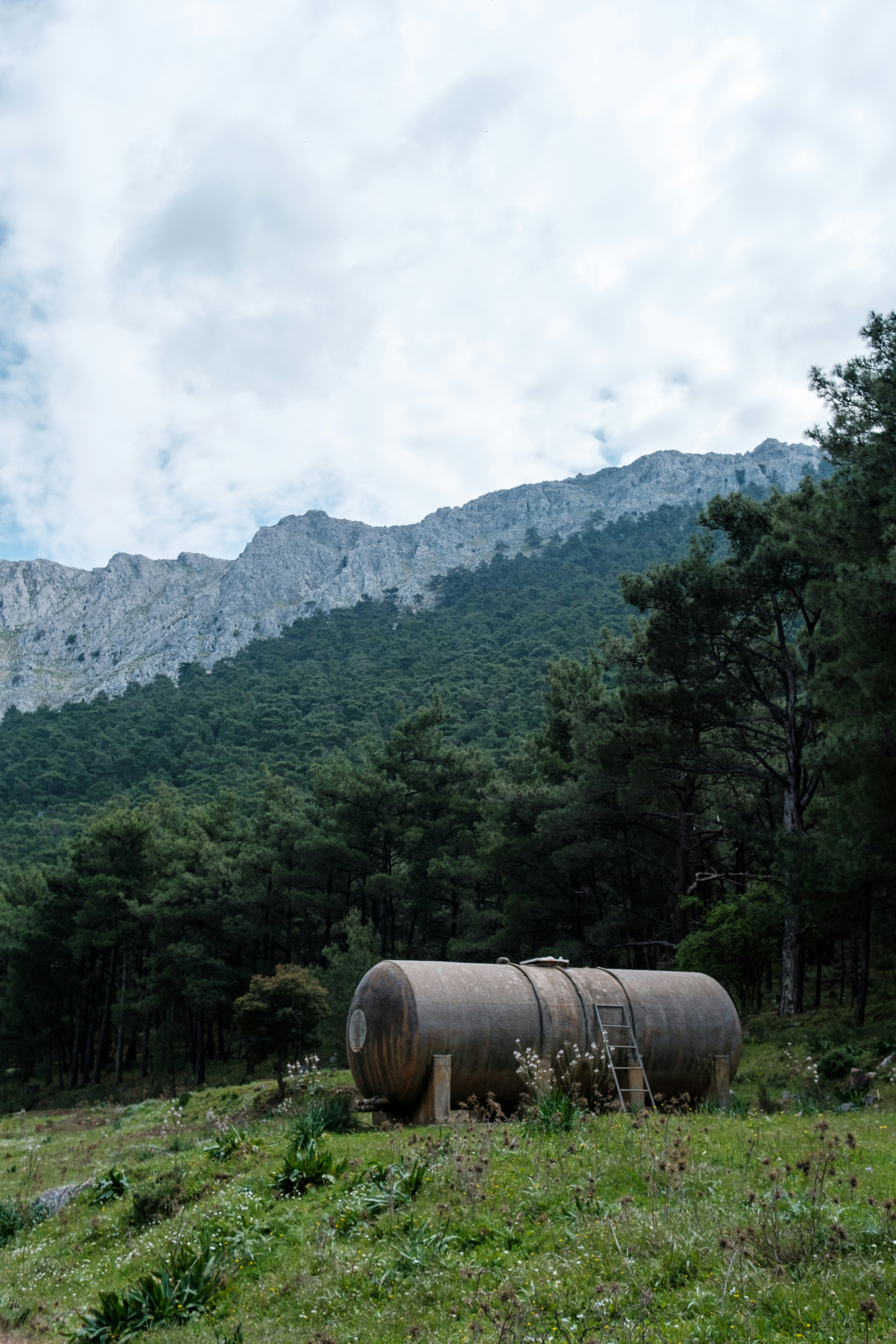 A large barrel sitting in the middle of a field photo – Free Forest ...