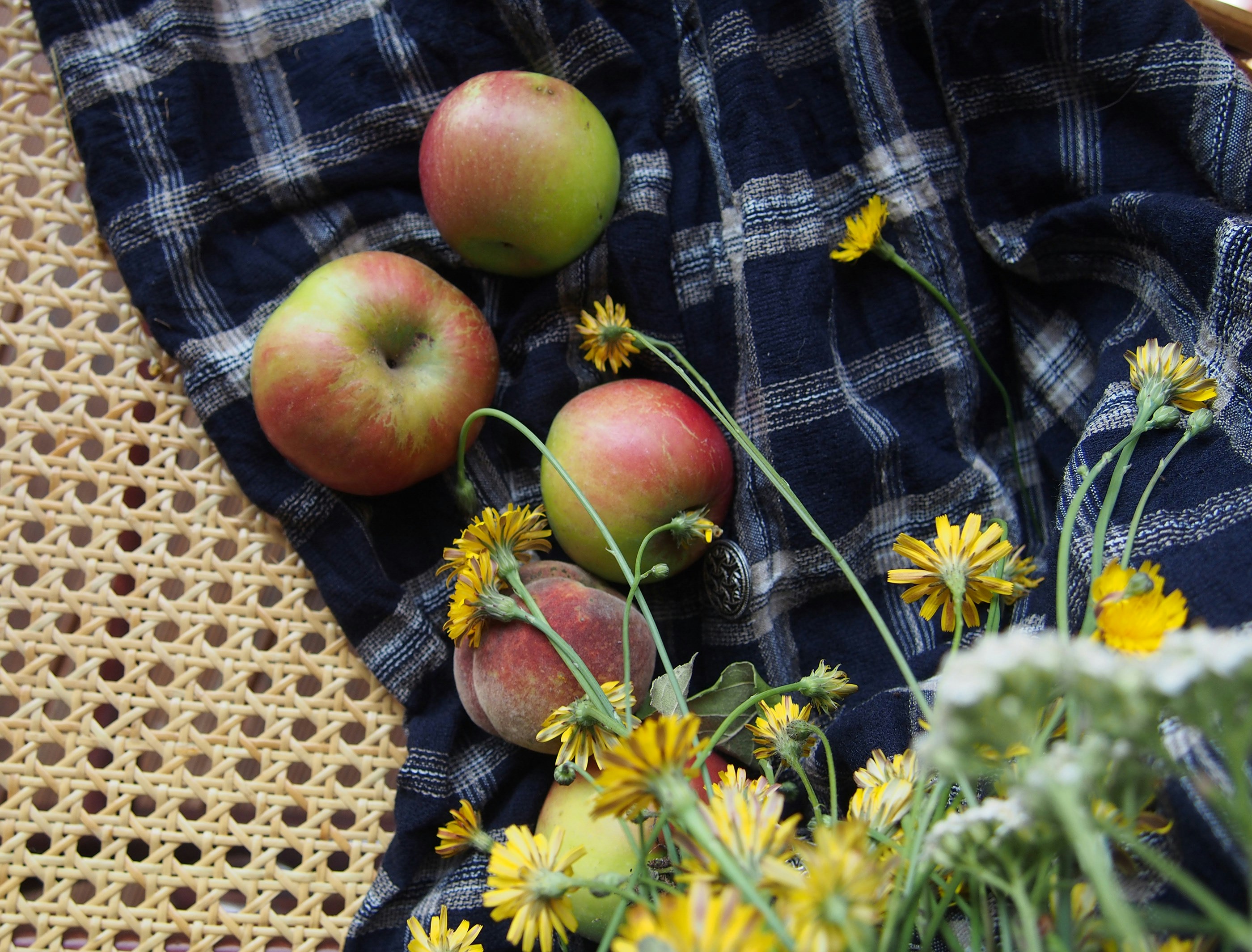 A bunch of apples sitting on top of a table photo – Free Cottagecore ...