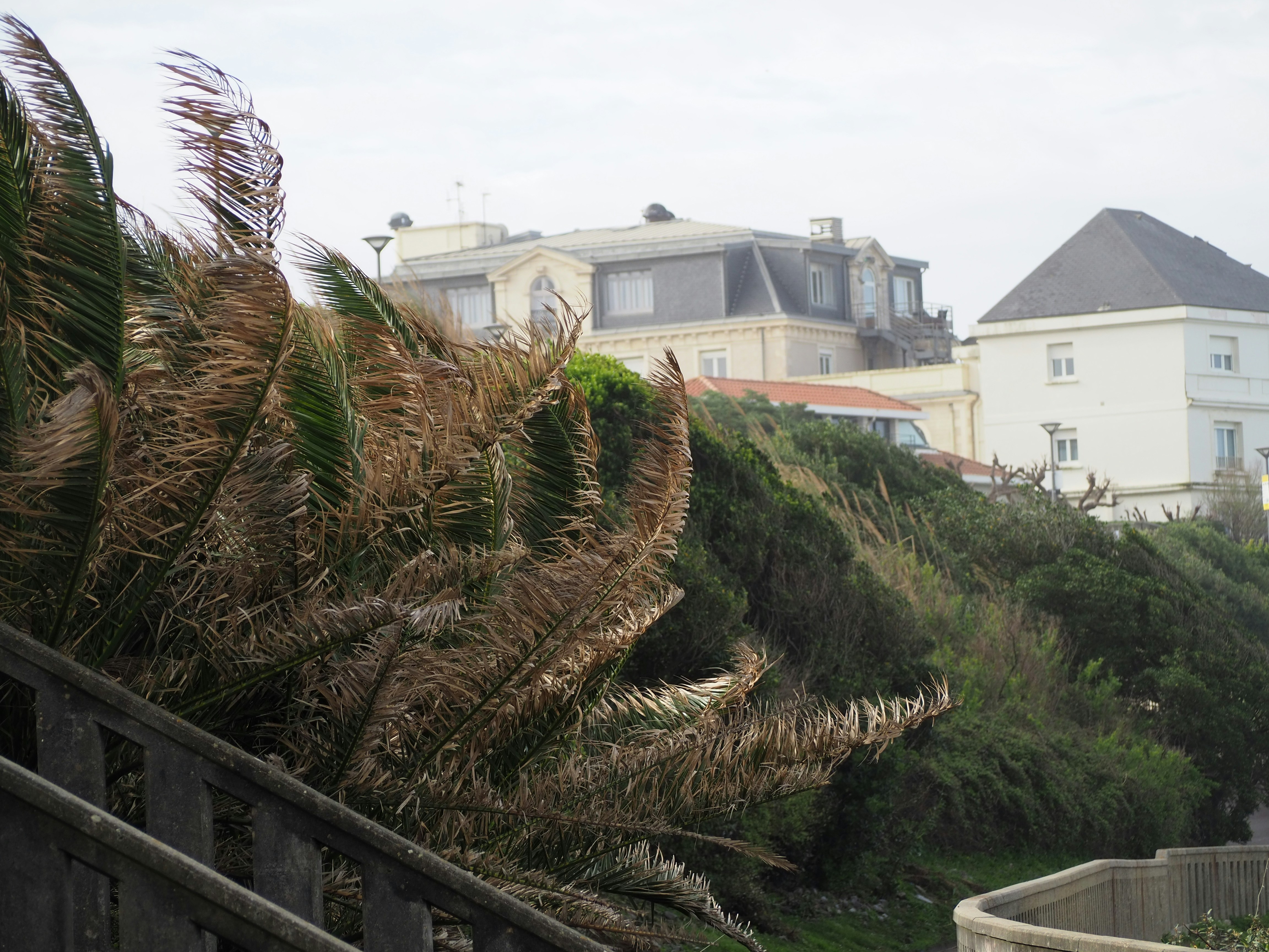 Thomas Cailhol (@txitxu) | Unsplash Photo Community