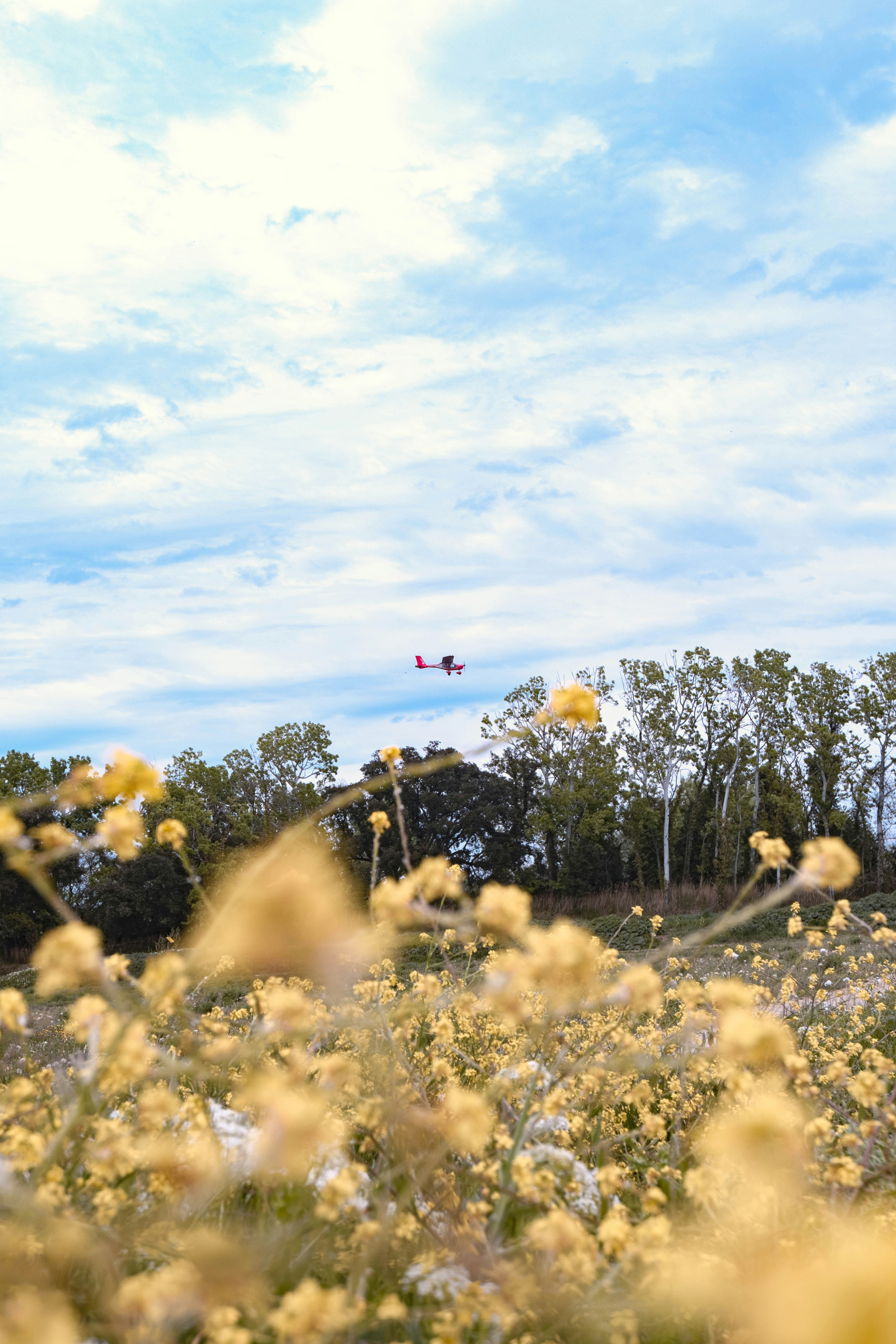Photo by Lucas Mota with Fujifilm X-T30 II