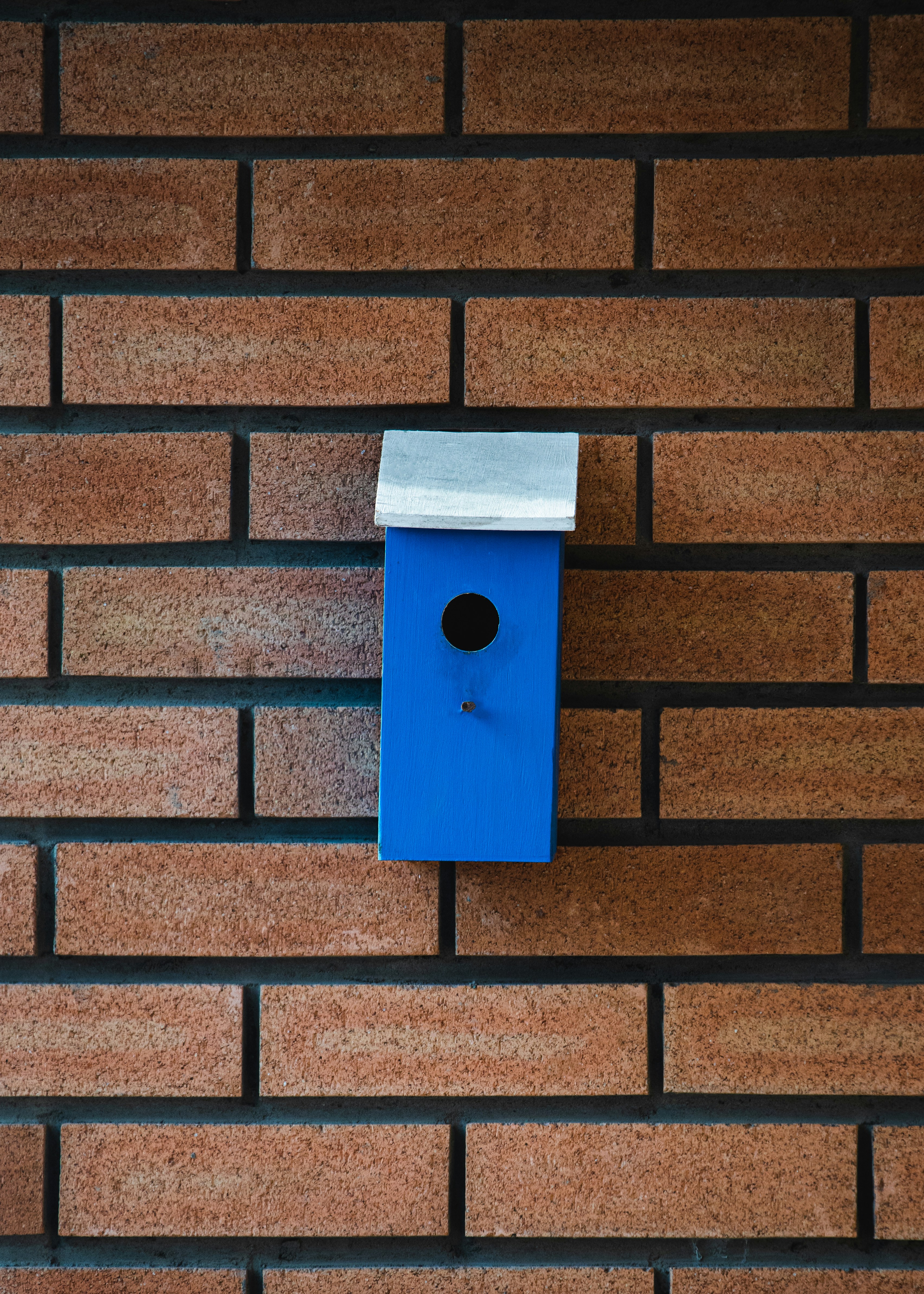 Azure Nest on a Brick Stage: A Blue Birdhouse with White Roof